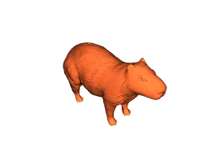 Capybara - Textured by TroggPrinter | Download free STL model ...