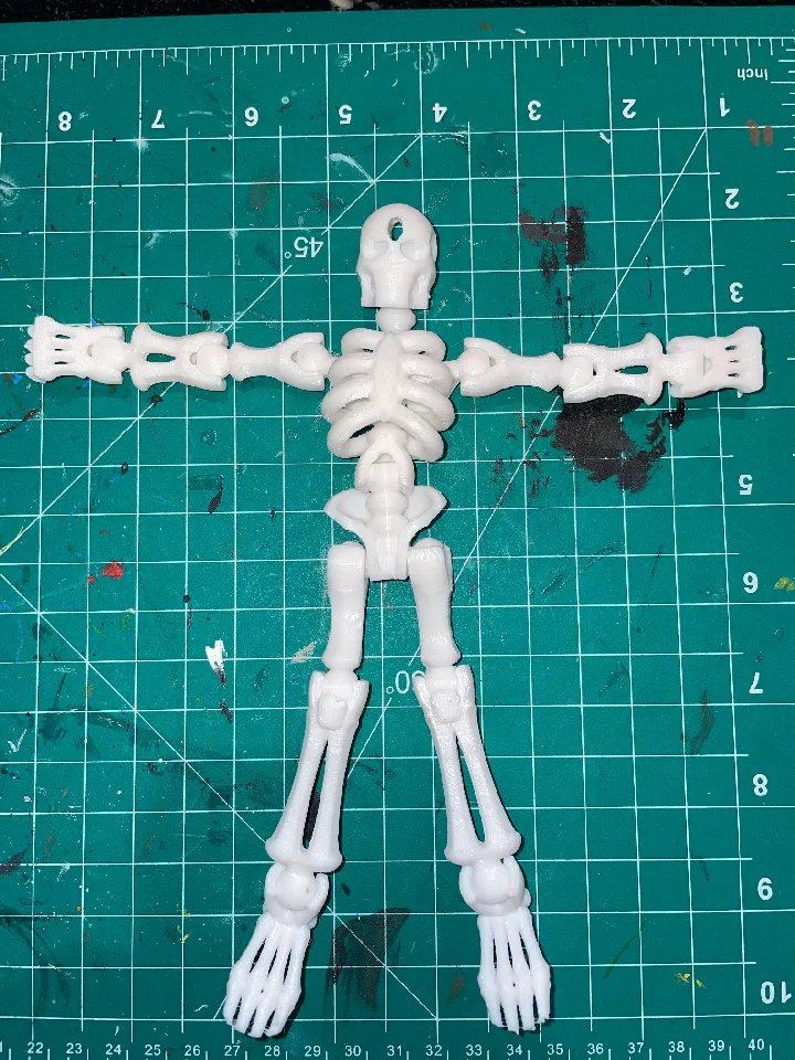 Flexi Skeleton Key Chain by JaCrispy | Download free STL model ...