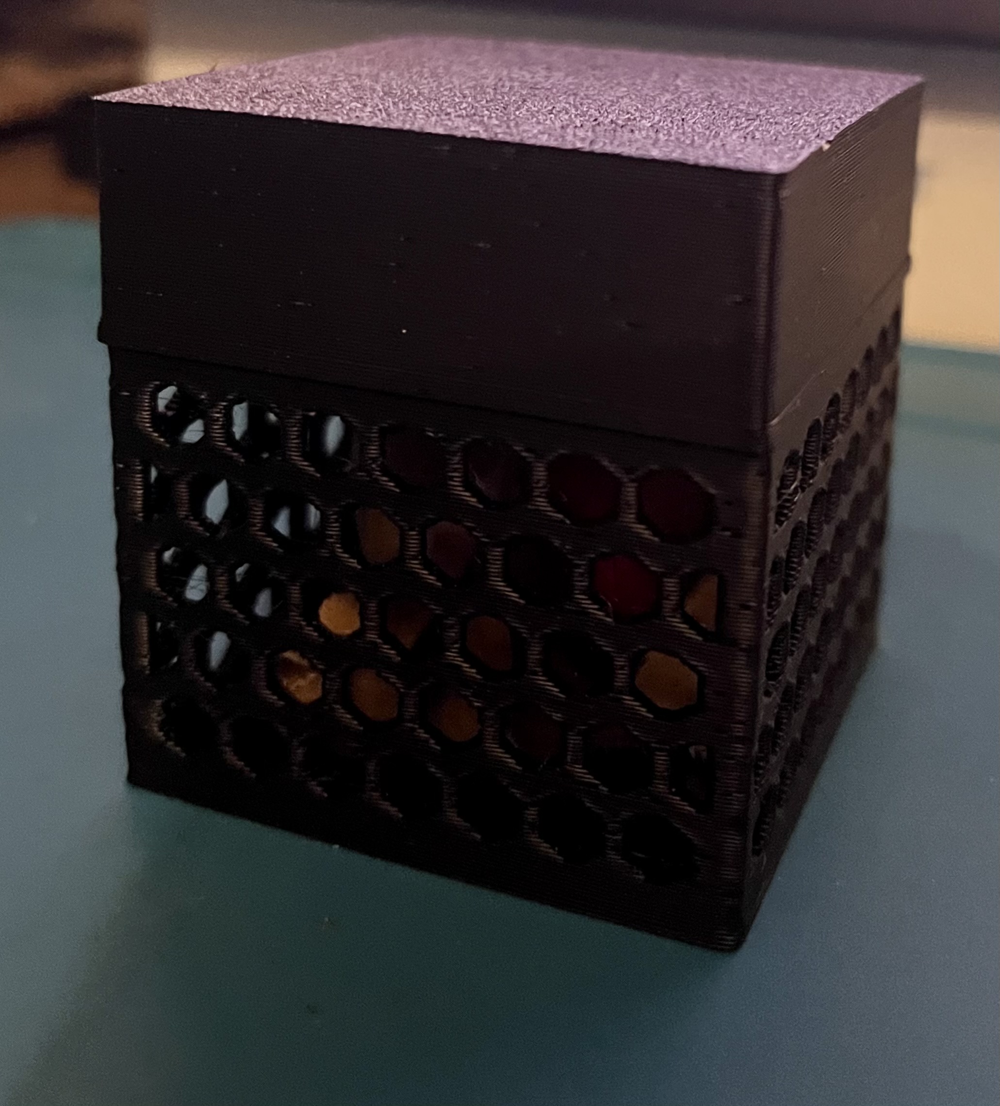 Cockroach and Insect Sorting Box by Letters For Learners | Download ...