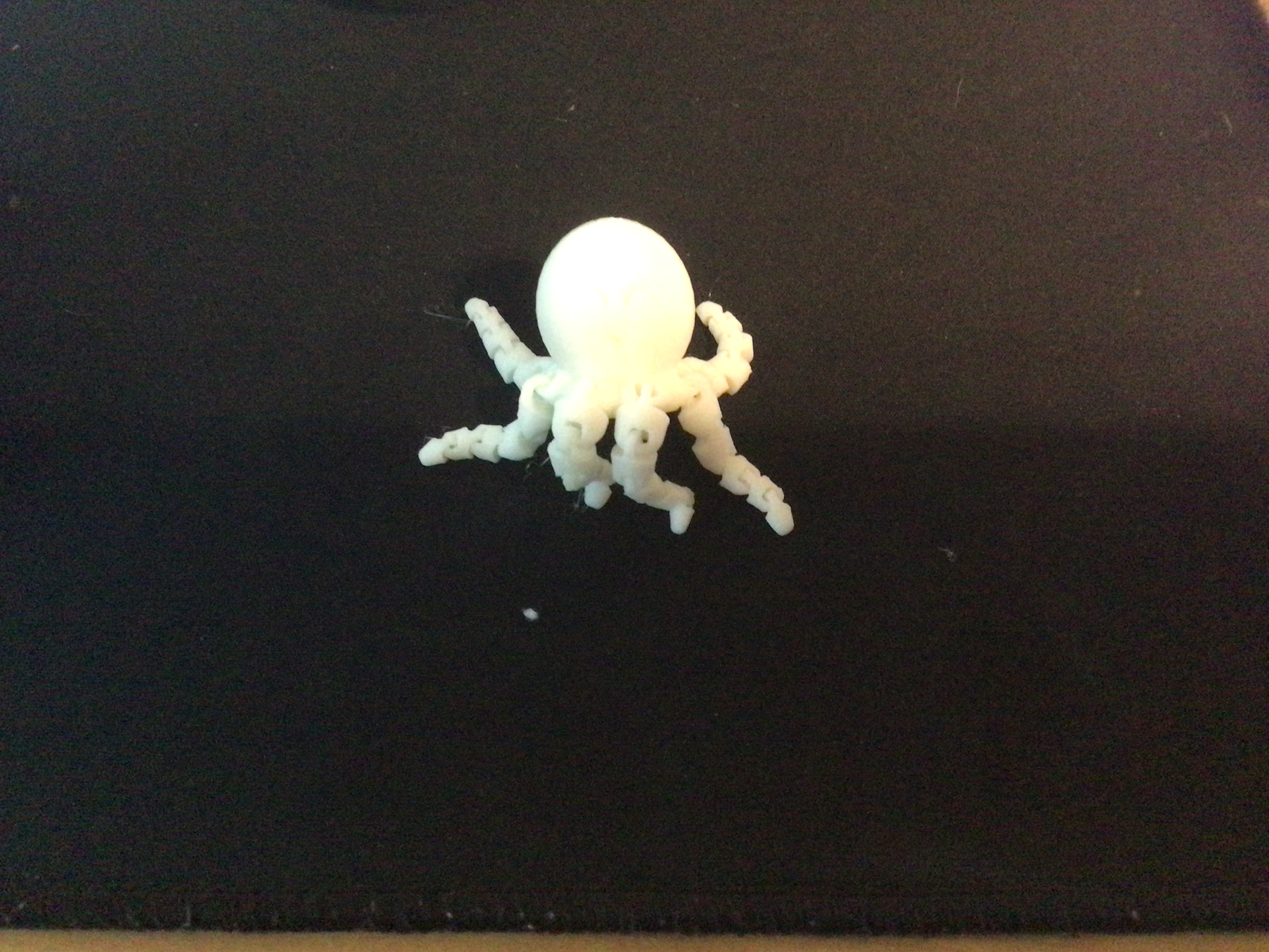 Articulated Octopus by Rigo | Download free STL model | Printables.com
