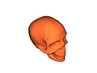 Dummy 13 Skull head by Michael B. | Download free STL model ...