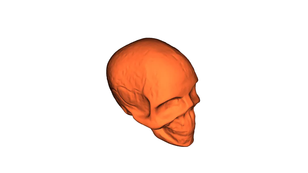 Dummy 13 Skull head by Michael B. | Download free STL model ...