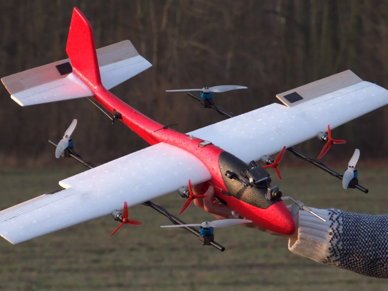 Lidl Glider VTOL Plane by Basement Creations | Download free STL model ...