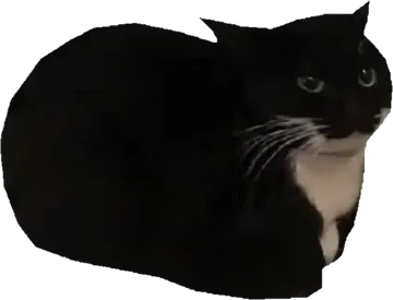 spinning maxwell cat oiiaiioiiiai by aref rahmani | Download free STL ...