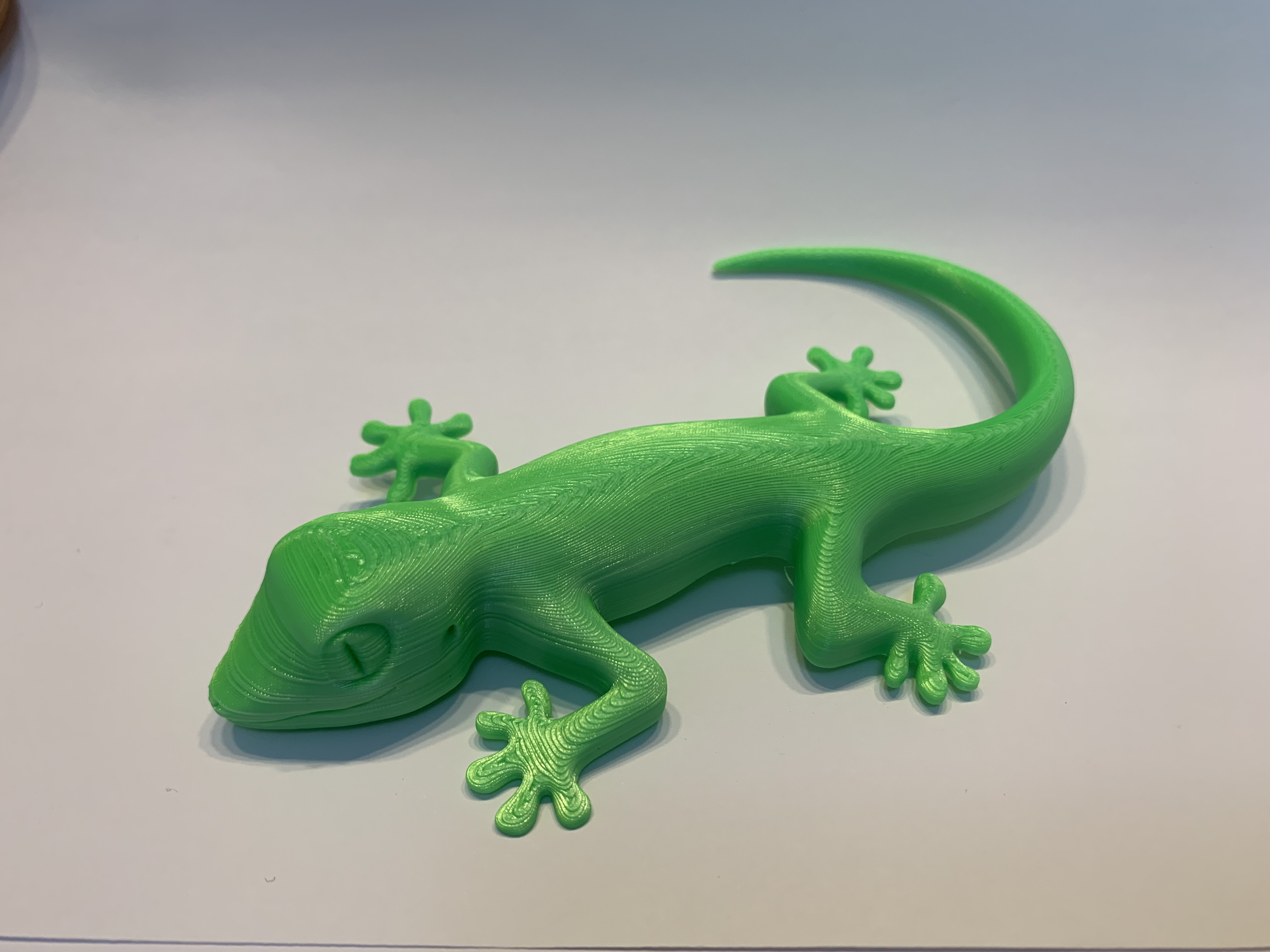 Geko by MINILab3D | Download free STL model | Printables.com