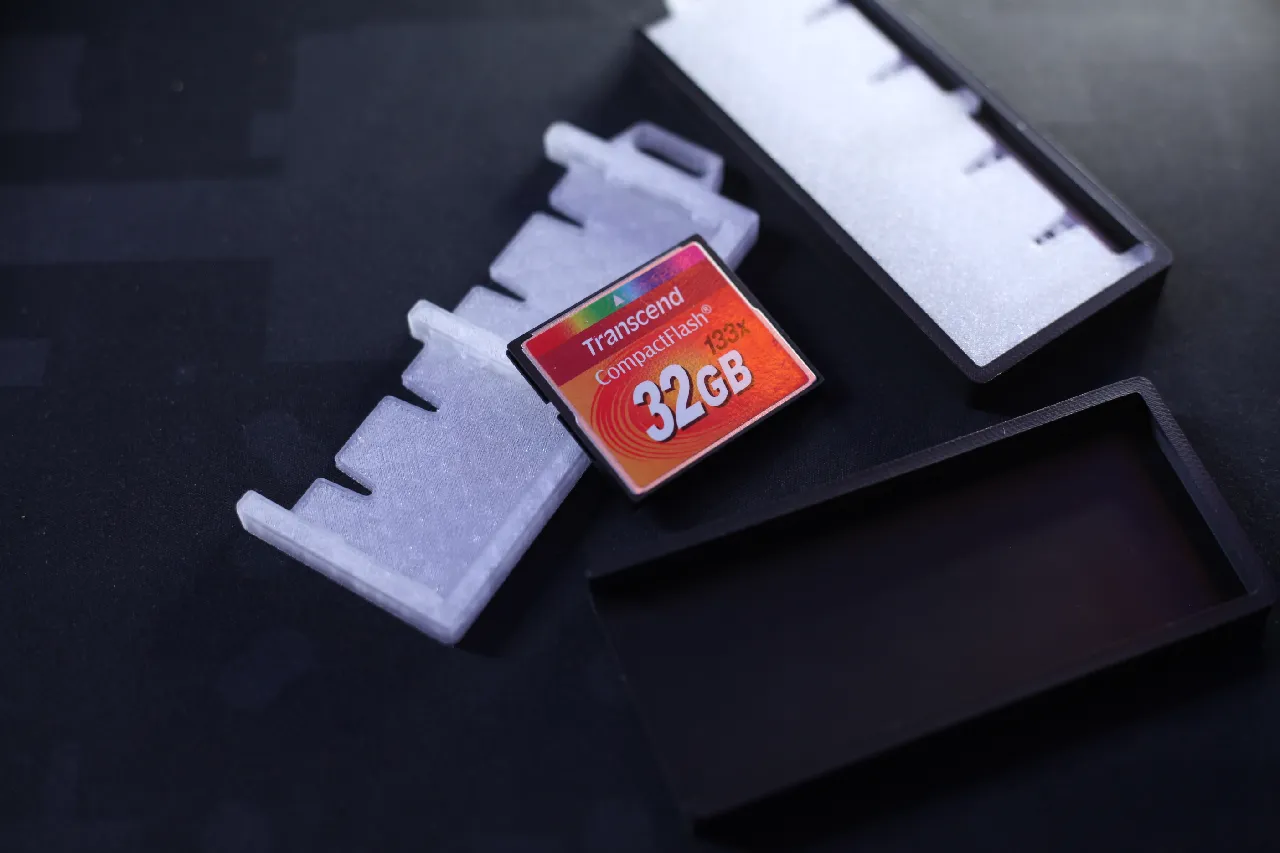 Cf cards travel case by 3rr0rstudio | Download free STL model ...