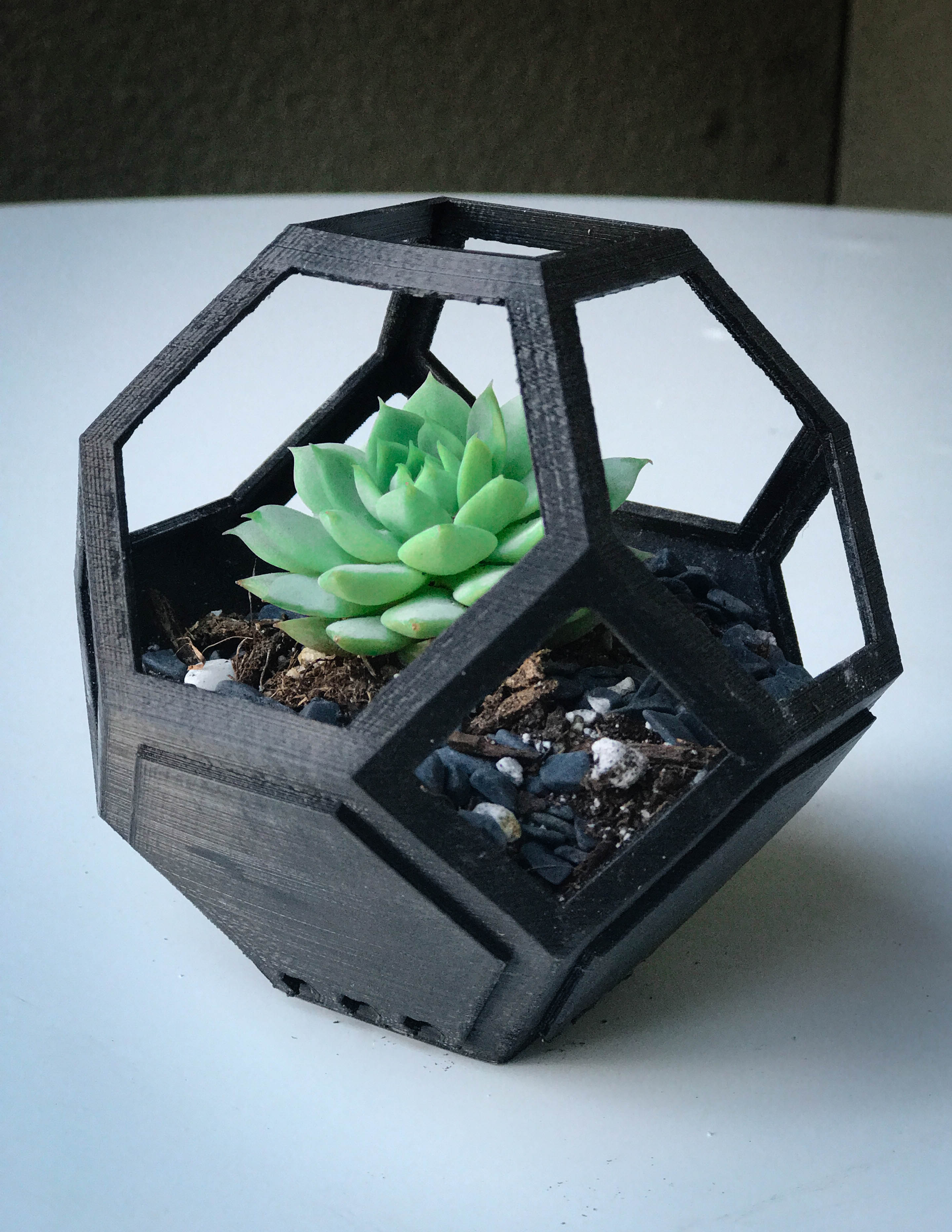 Plantygon - Modular Geometric Stacking Planter for Succulents by ...