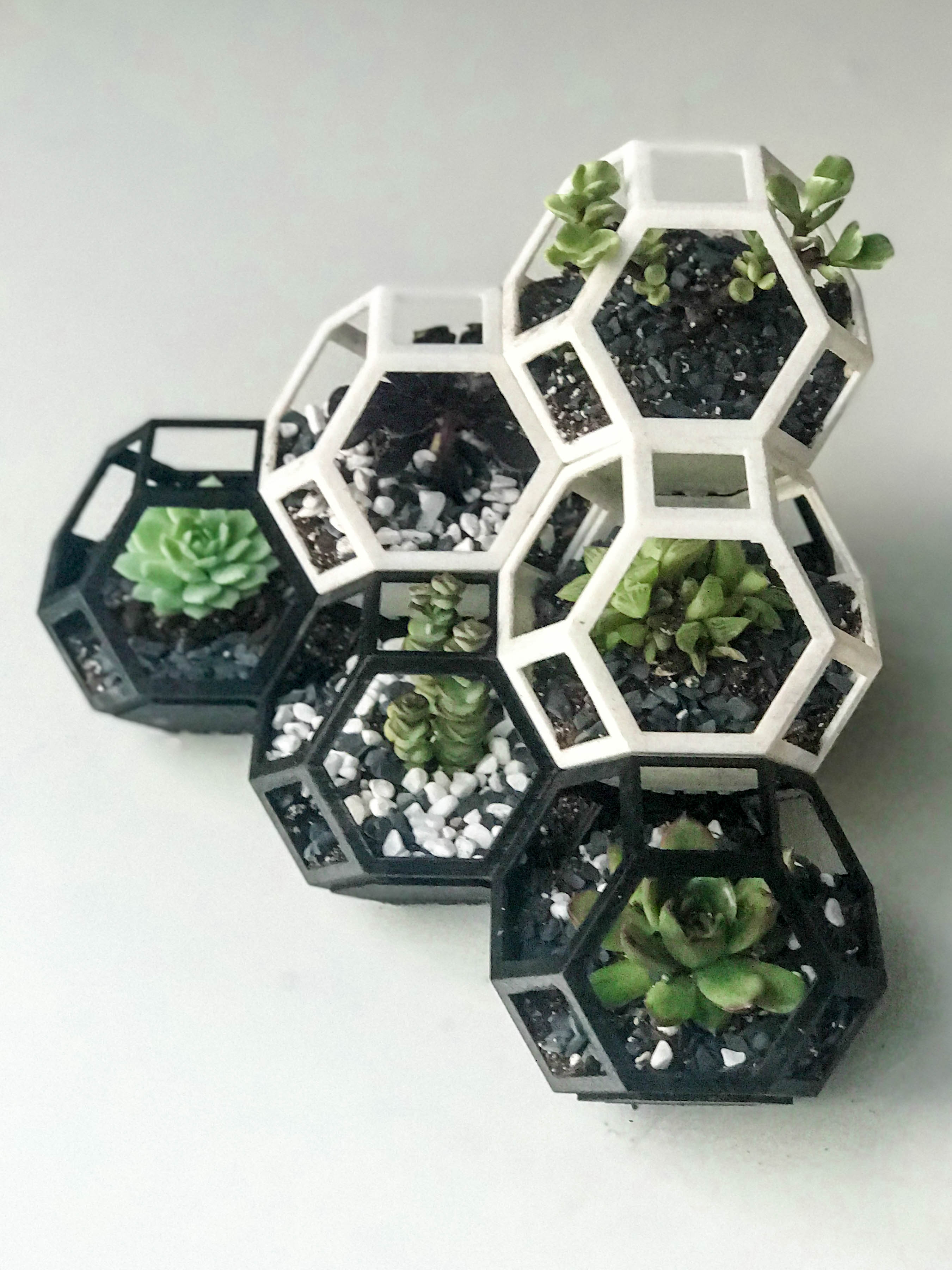 Plantygon - Modular Geometric Stacking Planter for Succulents by ...