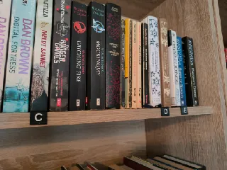 Bookshelf Letter Markers by Kasper Ragnar Fjelrad | Download free STL ...