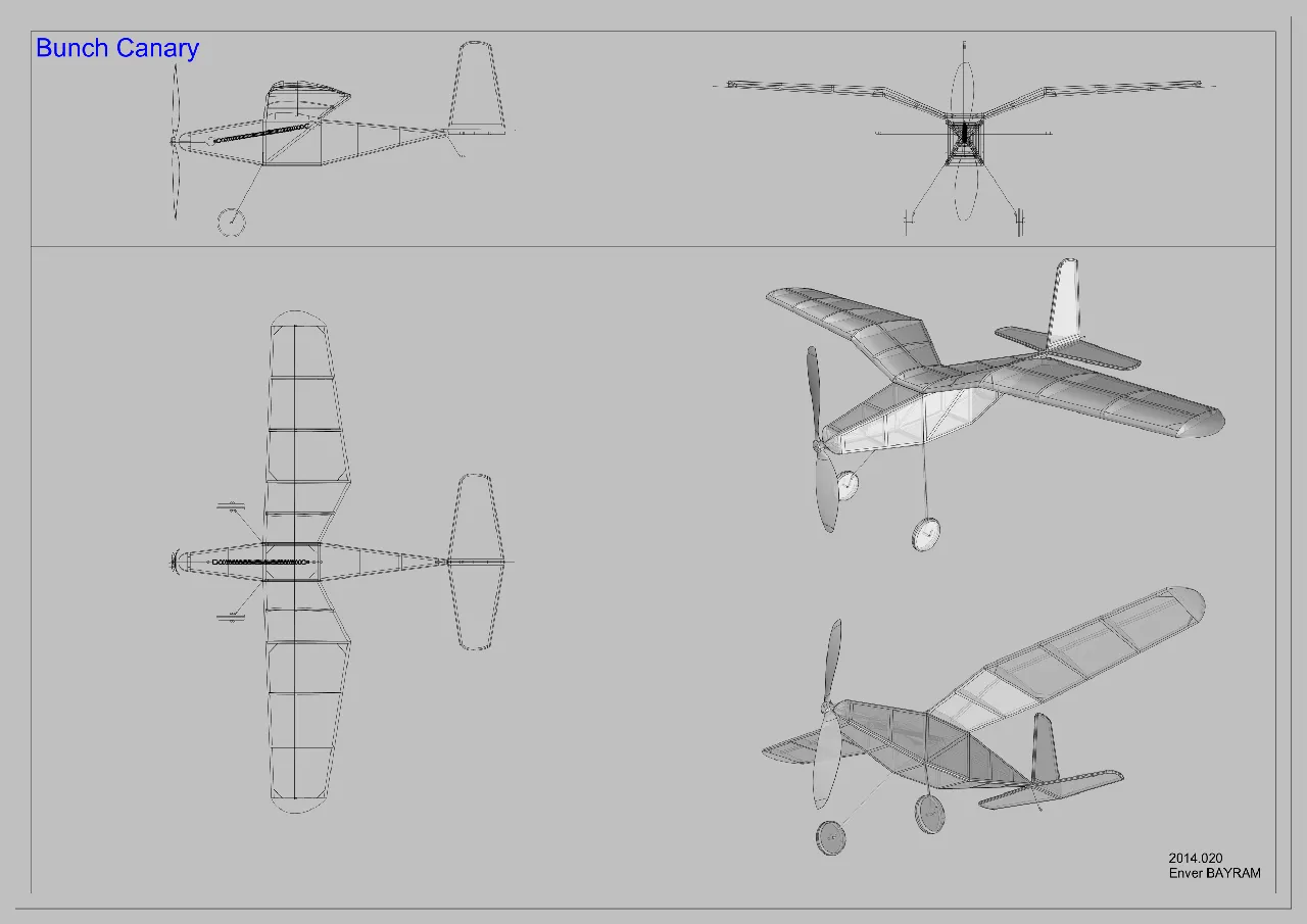 2014.020-BUNCH CANARY by Enver BAYRAM | Download free STL model ...