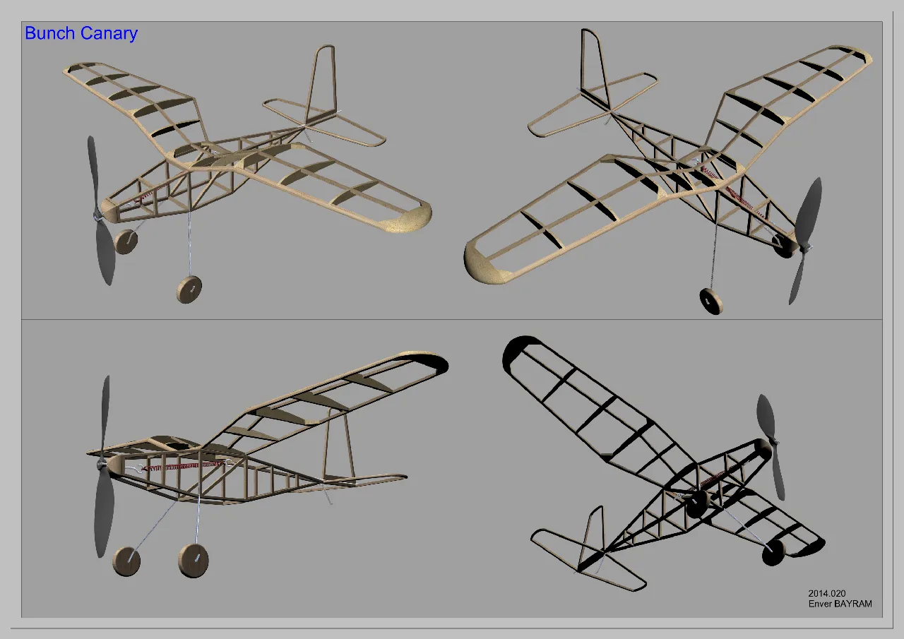 2014.020-BUNCH CANARY by Enver BAYRAM | Download free STL model ...