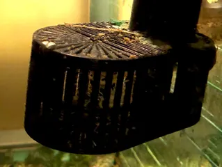 Fluval FX4 Short Intake Strainer by coltsreef | Download free STL model ...