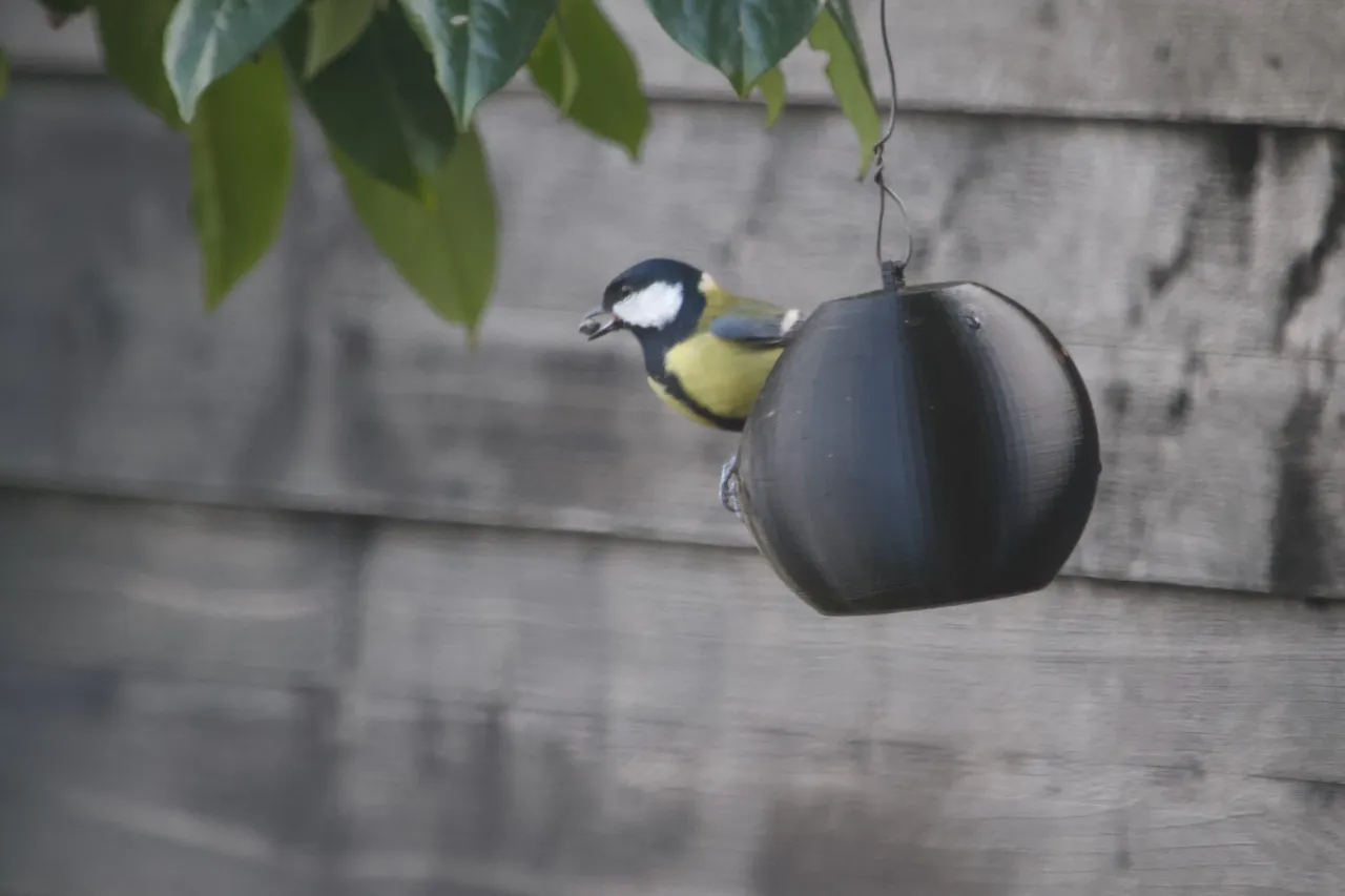 Bird feeder Sphere by MBprint | Download free STL model | Printables.com
