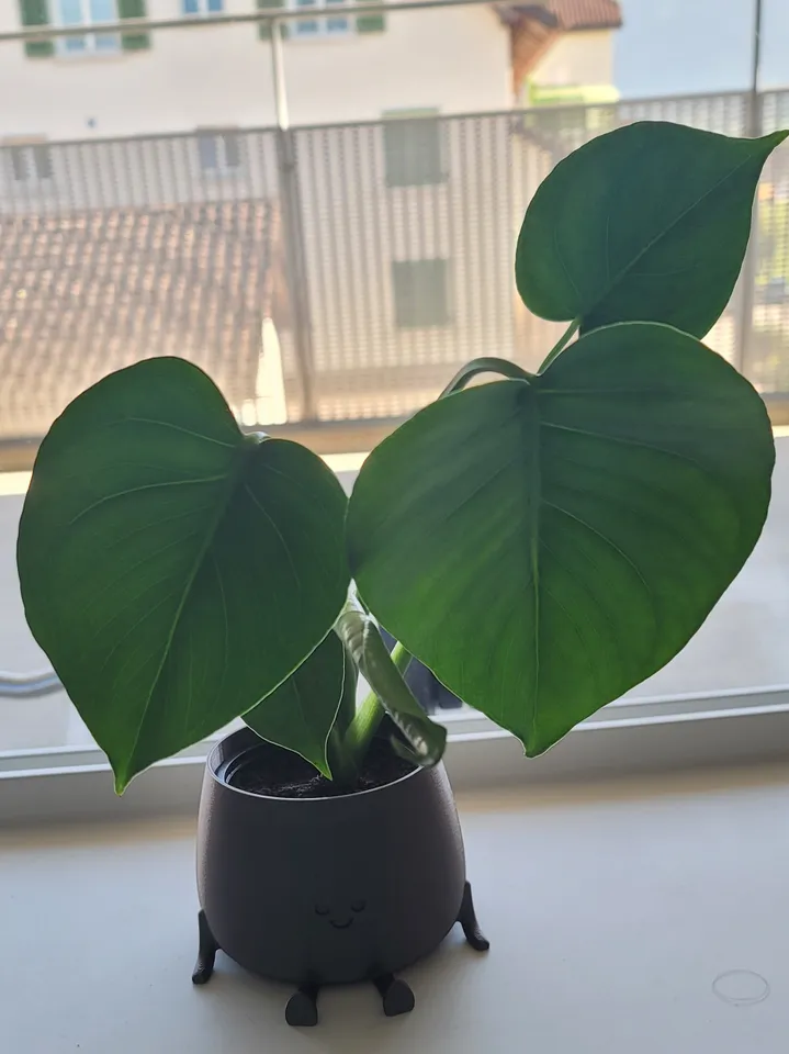 happy pot :) by Keetah | Download free STL model | Printables.com