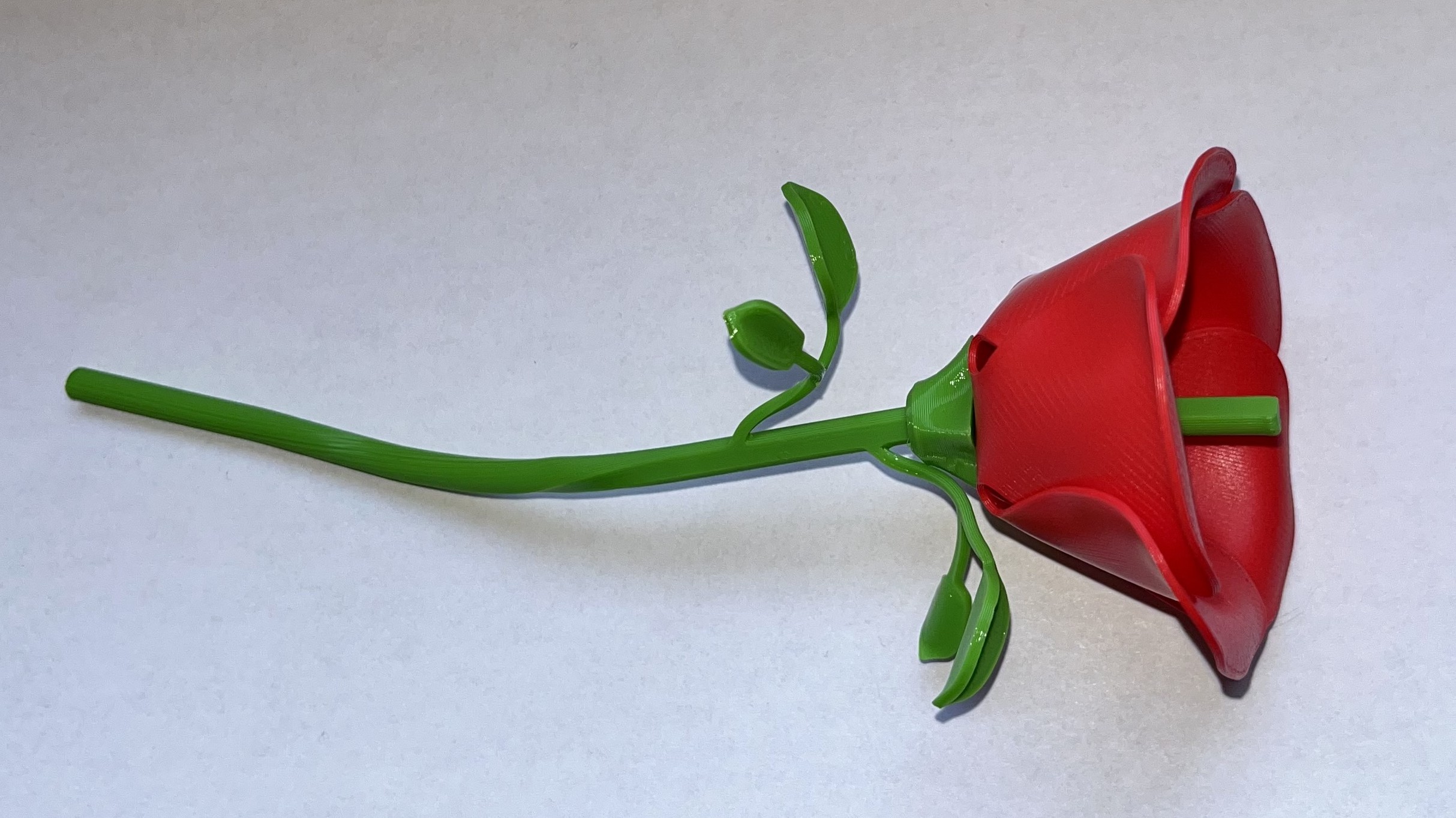 Forever Flower by Jan Vrkoč | Download free STL model | Printables.com
