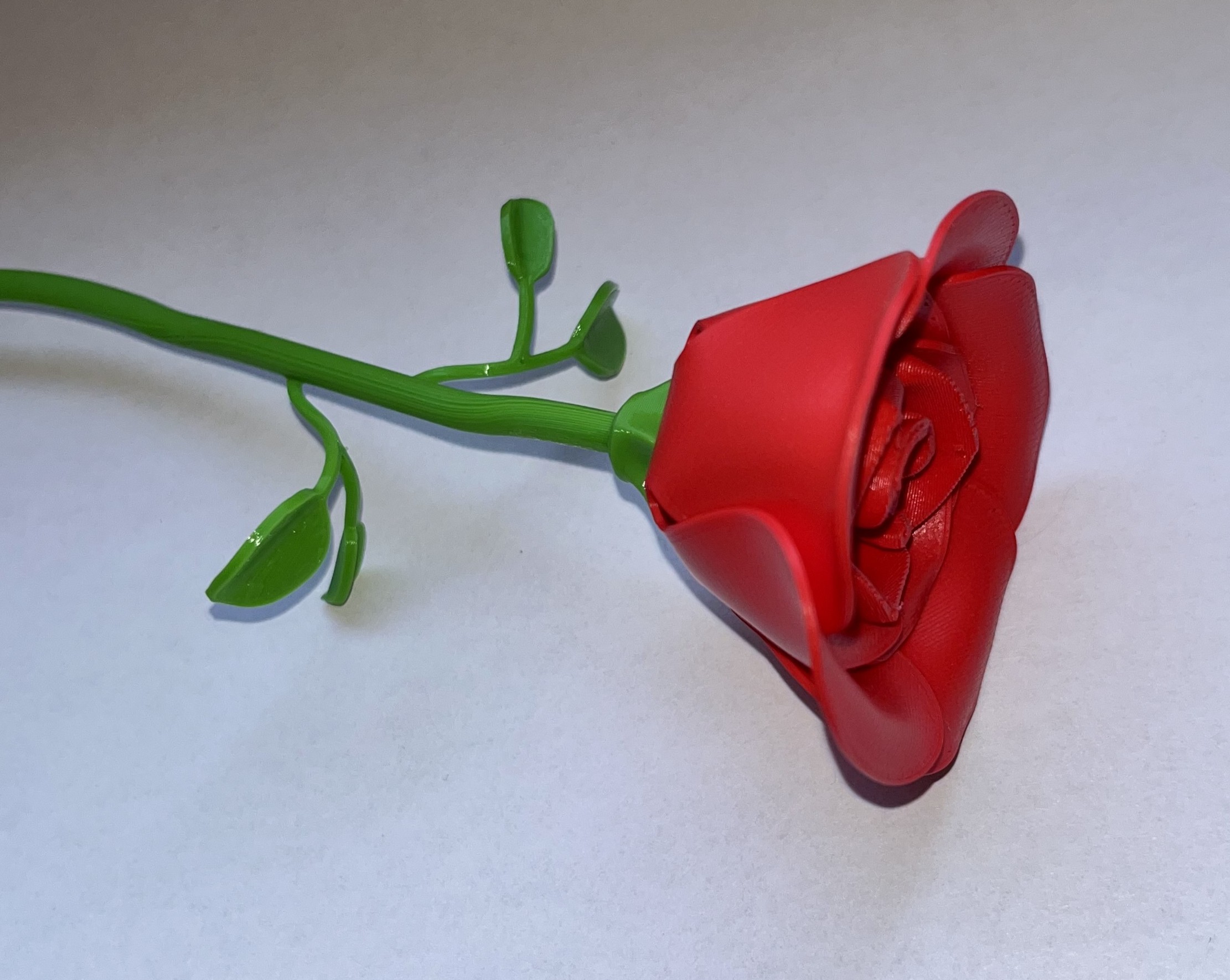 Forever Flower by Jan Vrkoč | Download free STL model | Printables.com