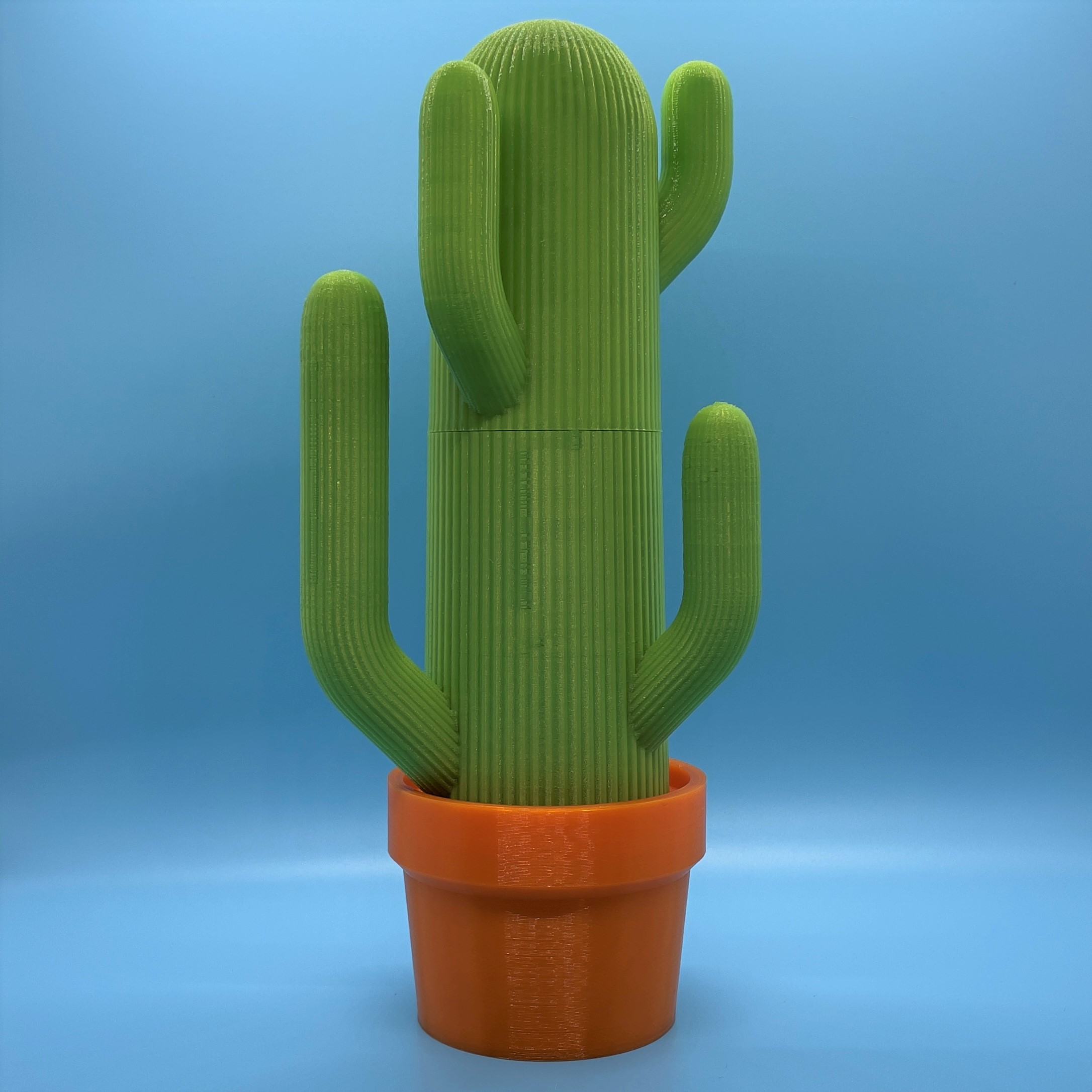 The Cactus Caddy by cmdesign | Download free STL model | Printables.com