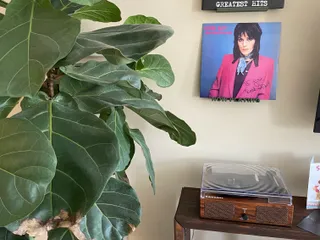 Vinyl Record Shelves by b-lud | Download free STL model | Printables.com