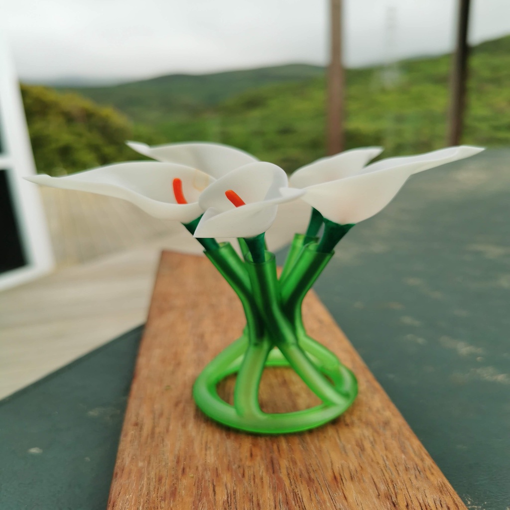 Cala Lily by markogdennz@gmail.com | Download free STL model ...