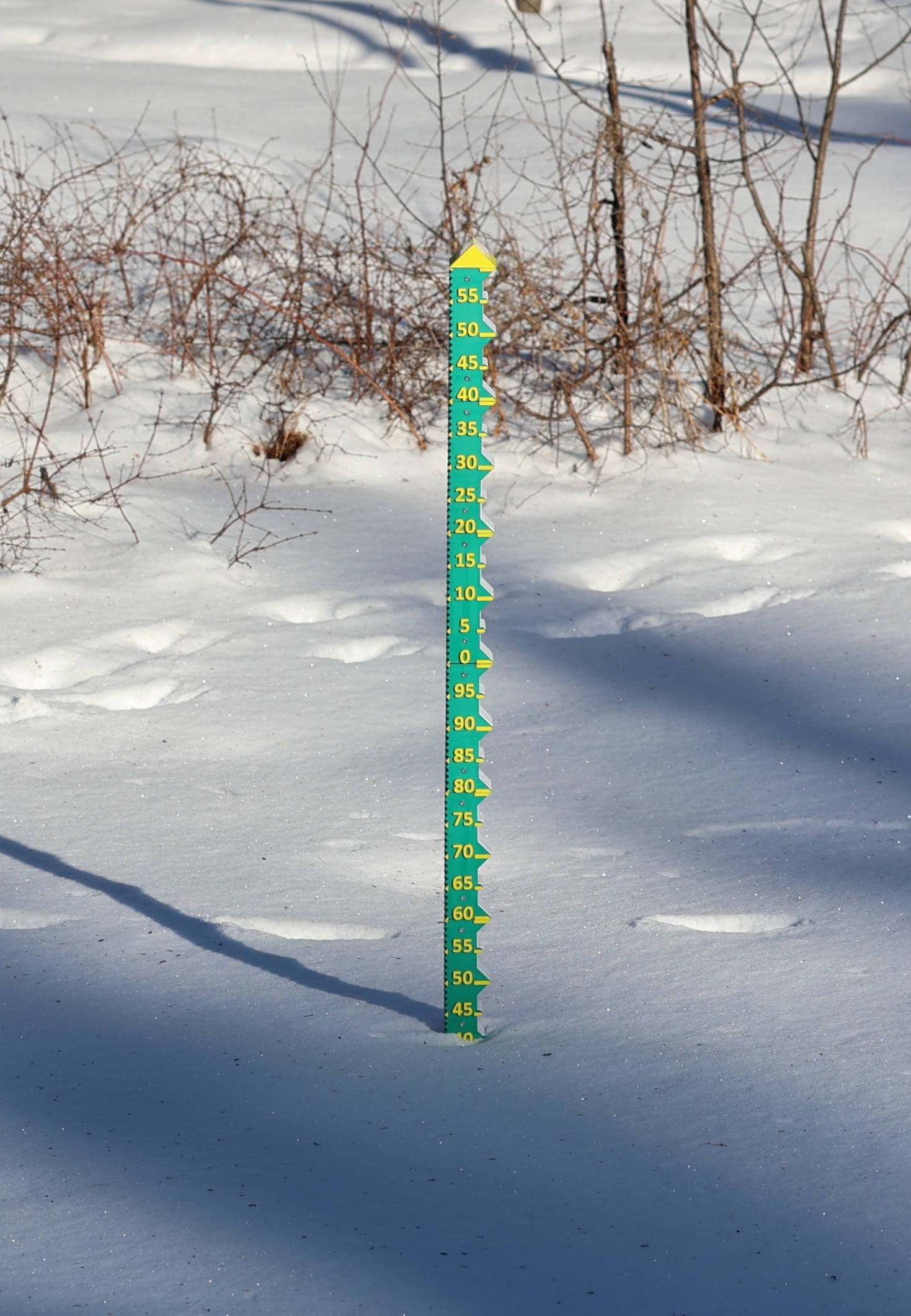 Snow Ruler / Règle à neige by Pincoyo | Download free STL model ...