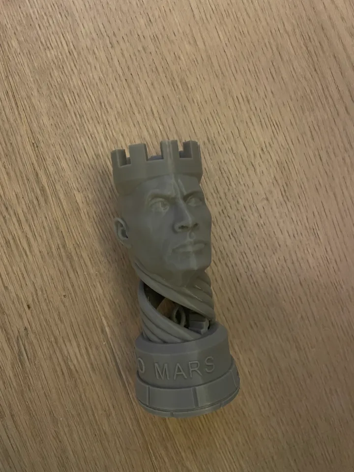 Dwayne the ROOK by Luca Koch | Download free STL model | Printables.com