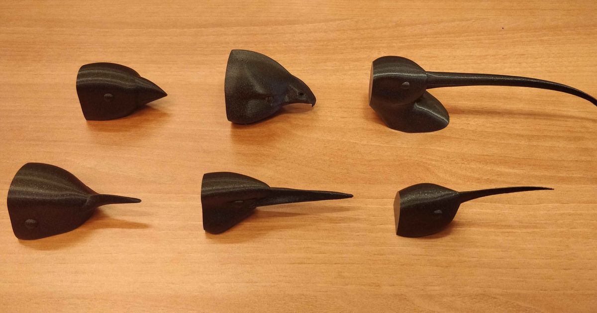 Bird heads and beaks by RomainDewaele | Download free STL model ...