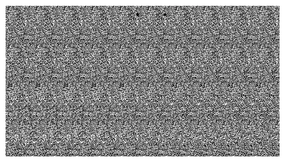 stereograms 3d magic eye