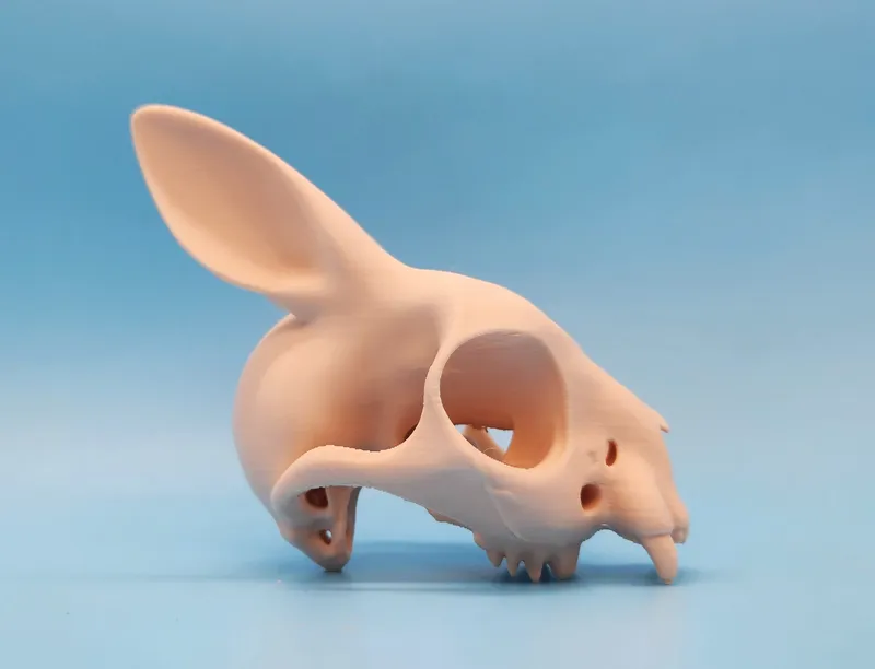 Bunny Skull - Ears Back by Triple G Workshop | Download free STL model ...