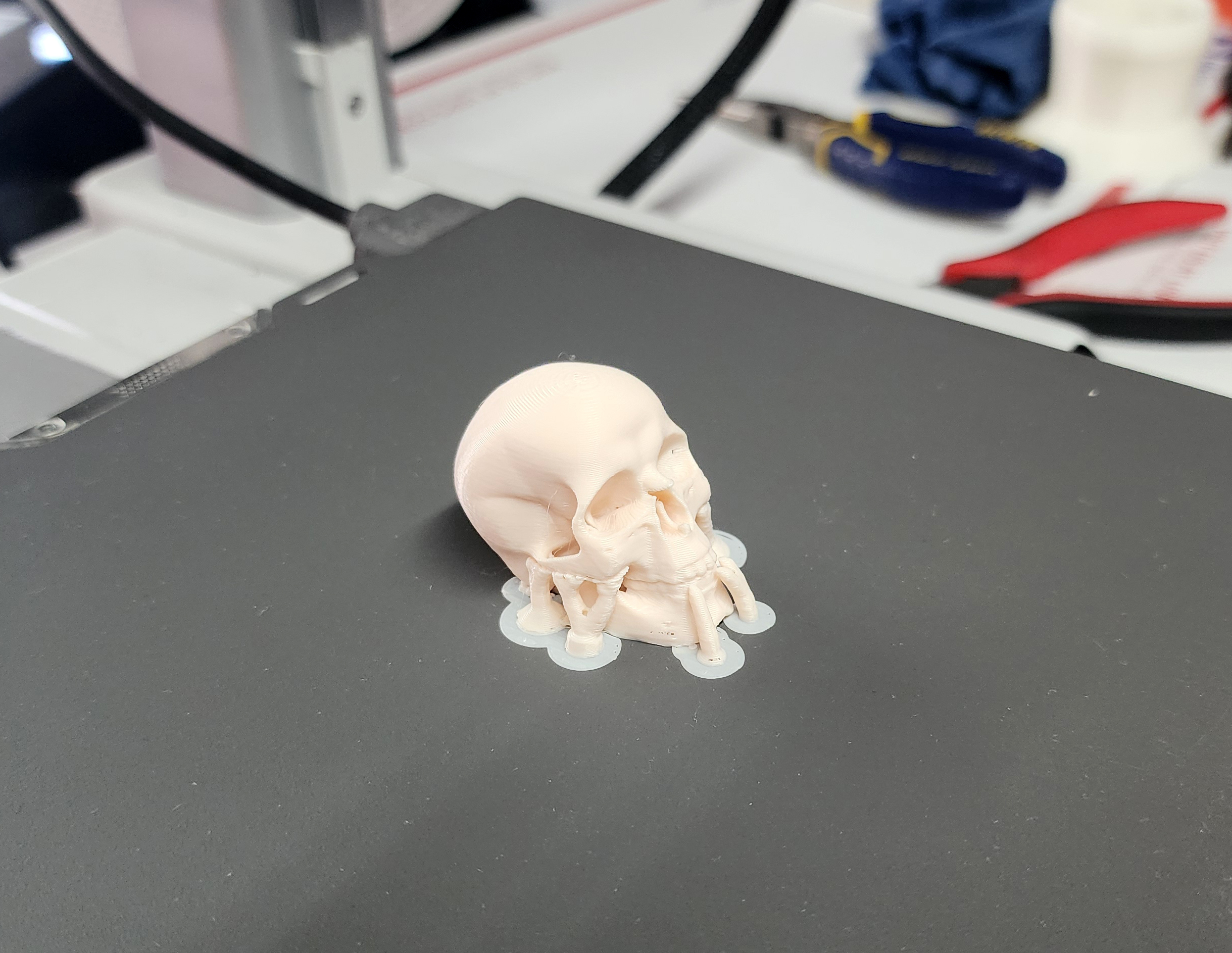 Easy to Print Skull - Scalable by Triple G Workshop | Download free STL ...
