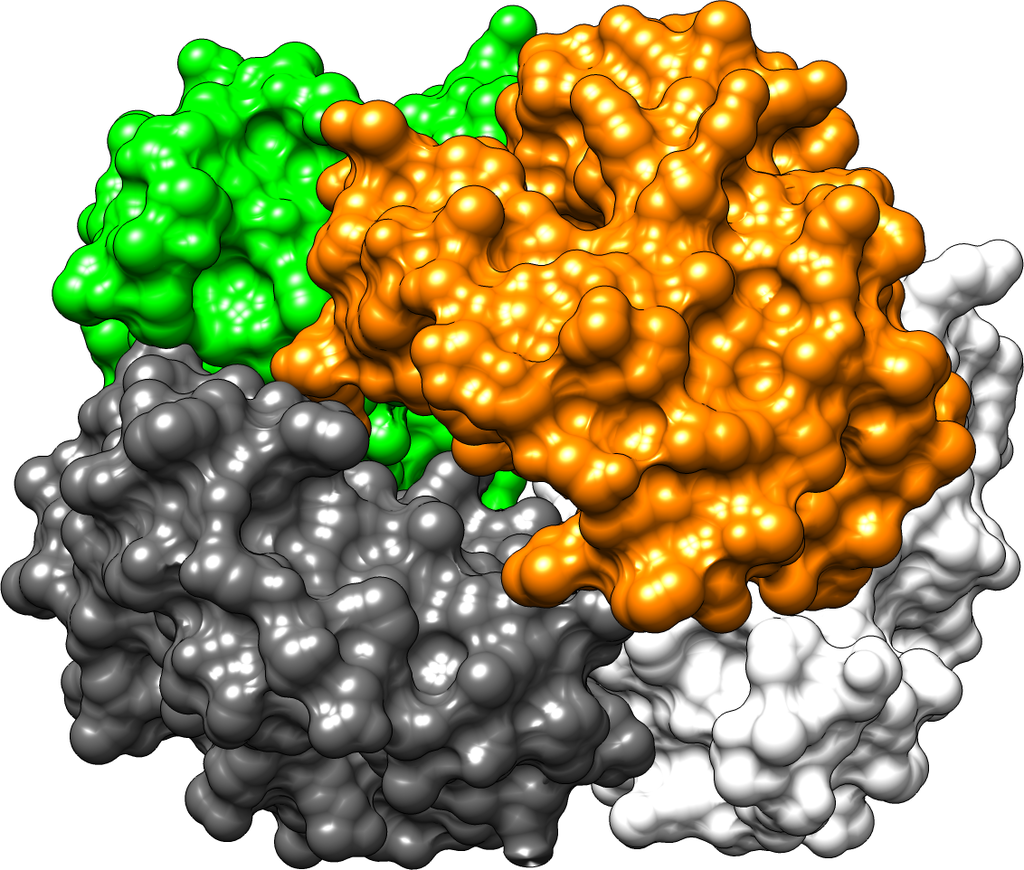 Quaternary structure of human deoxihaemoglobin with removable hem by ...