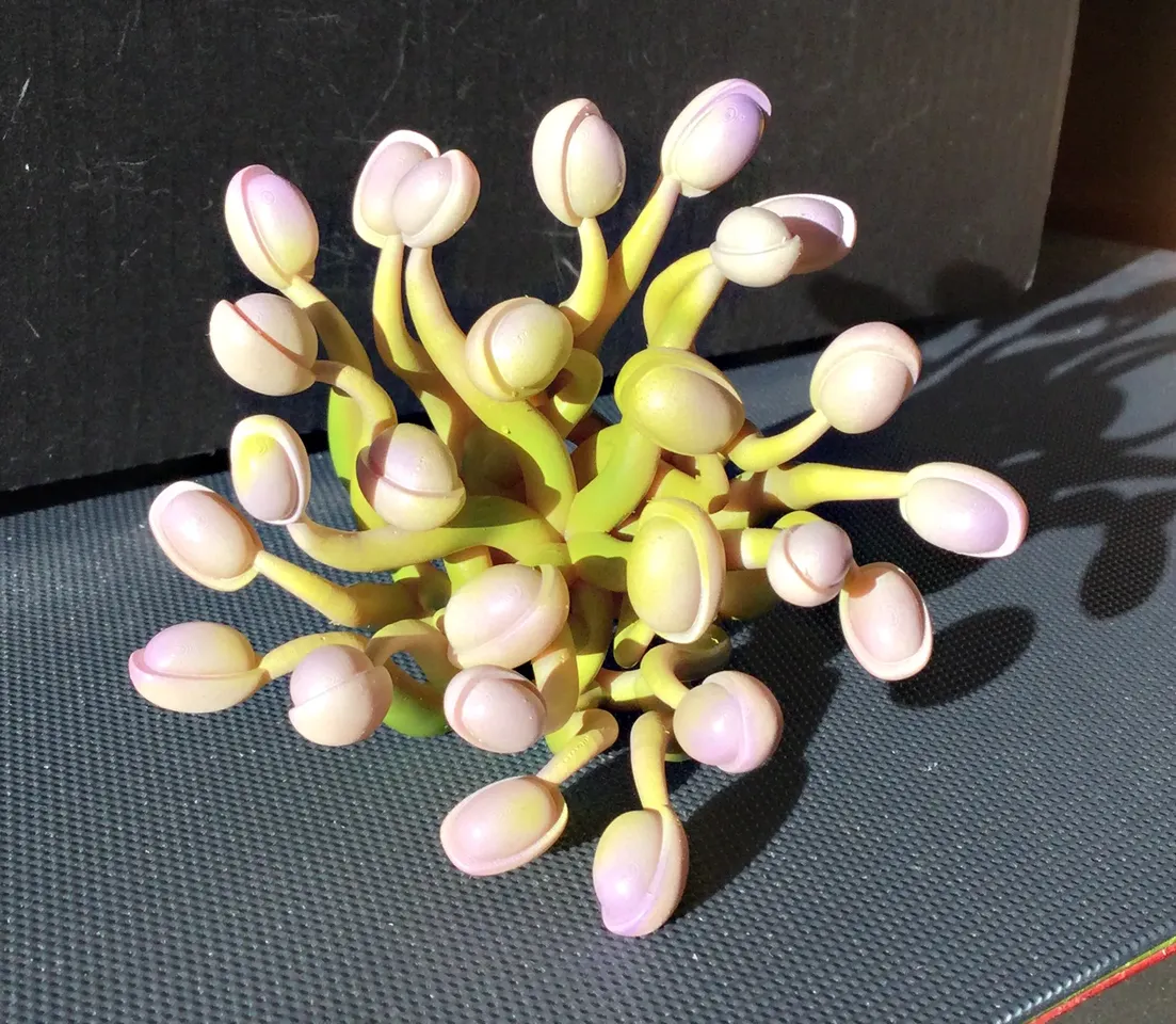 Bean Sprouts Mandala by sylviatrilling | Download free STL model ...