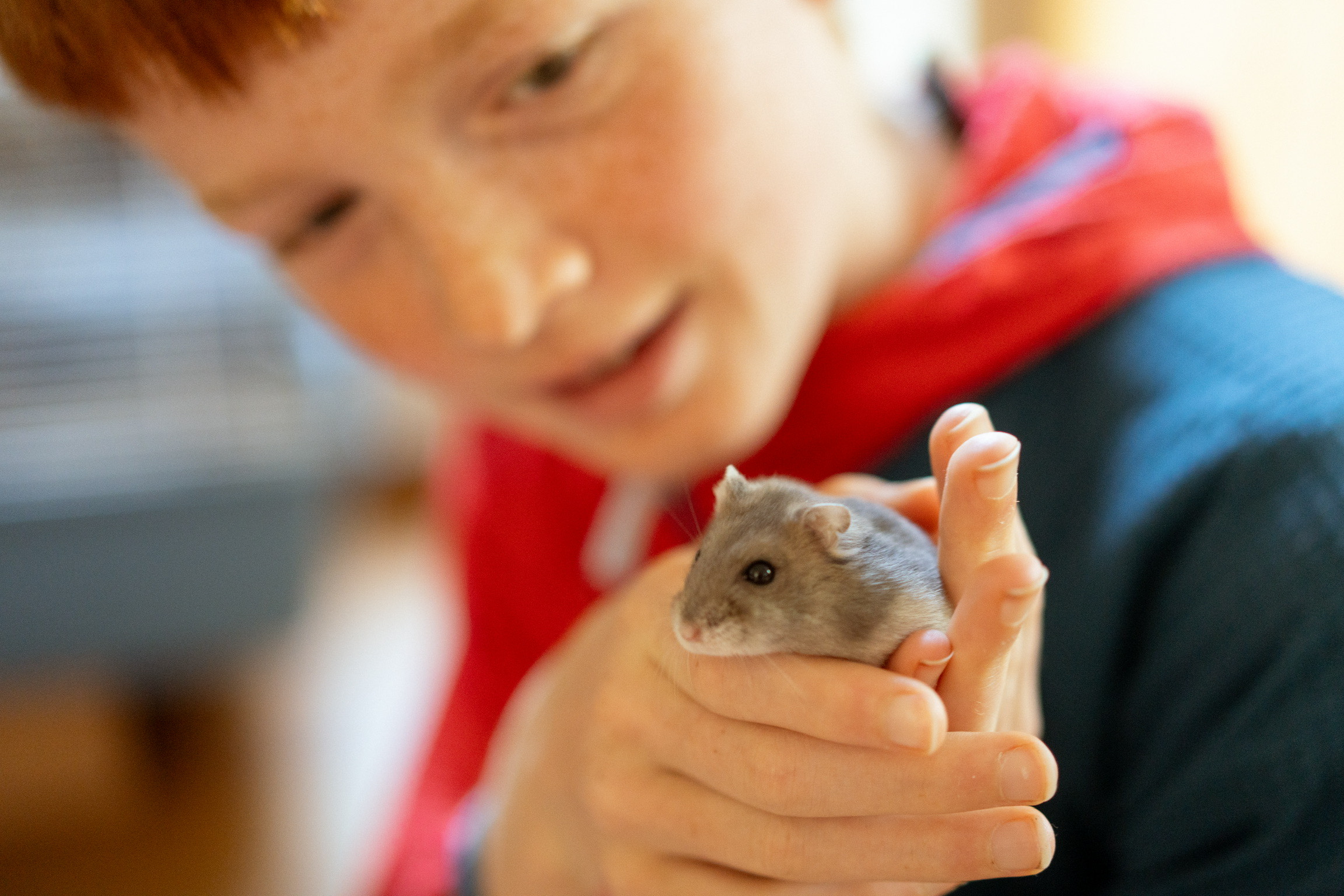 Hamster Tracker Wheel by Loekman | Download free STL model | Printables.com