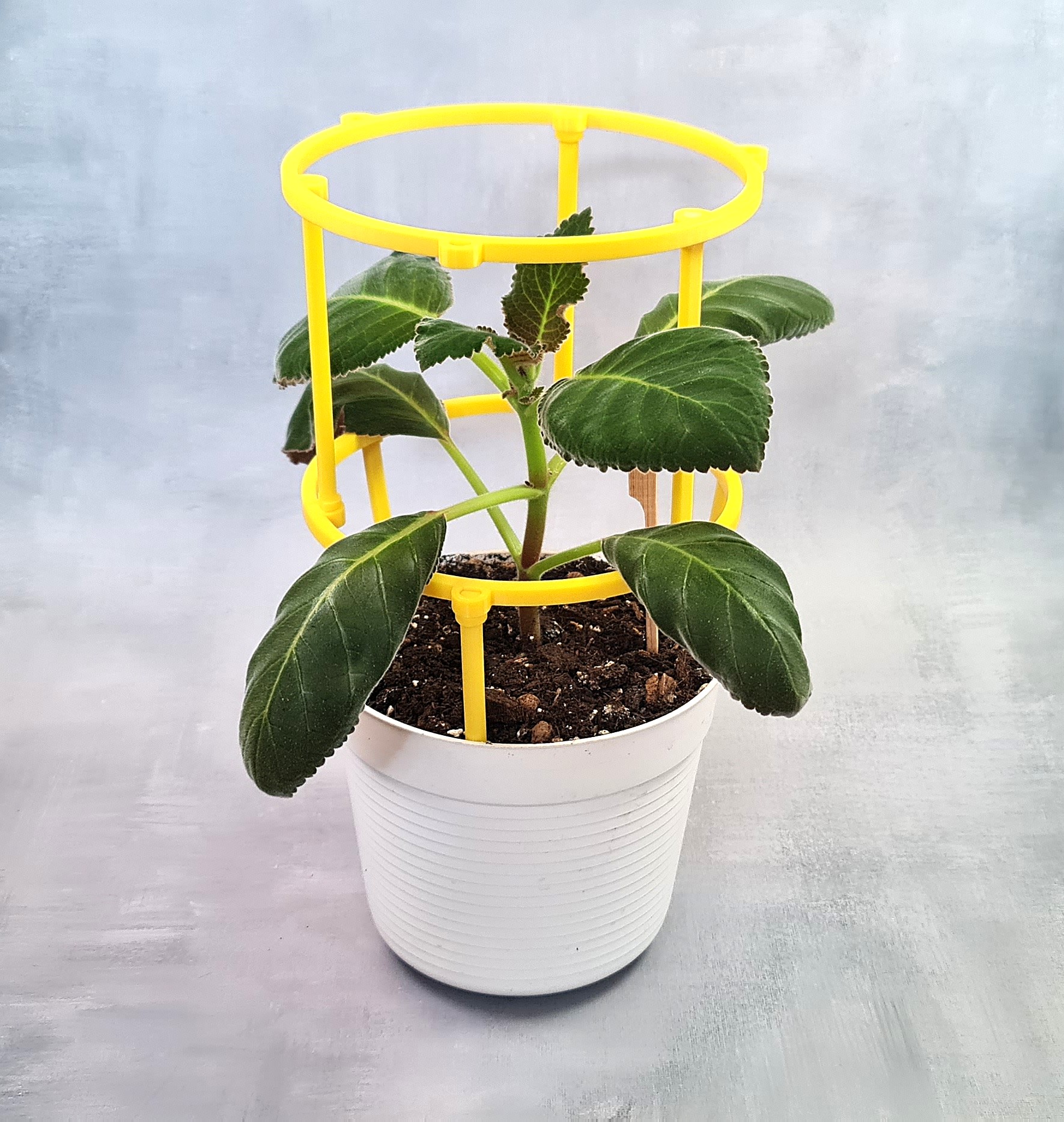 Plant Support Ring - Stackable and Customizable by Rene Czerner ...