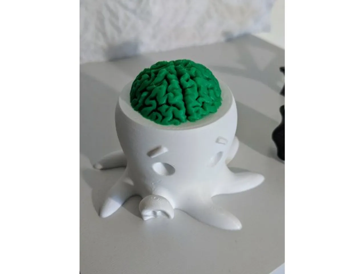 Octopus with exposed brain by Matt Harrison | Download free STL model ...