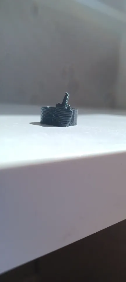 middle finger ring by 3dprinting.page | Download free STL model ...