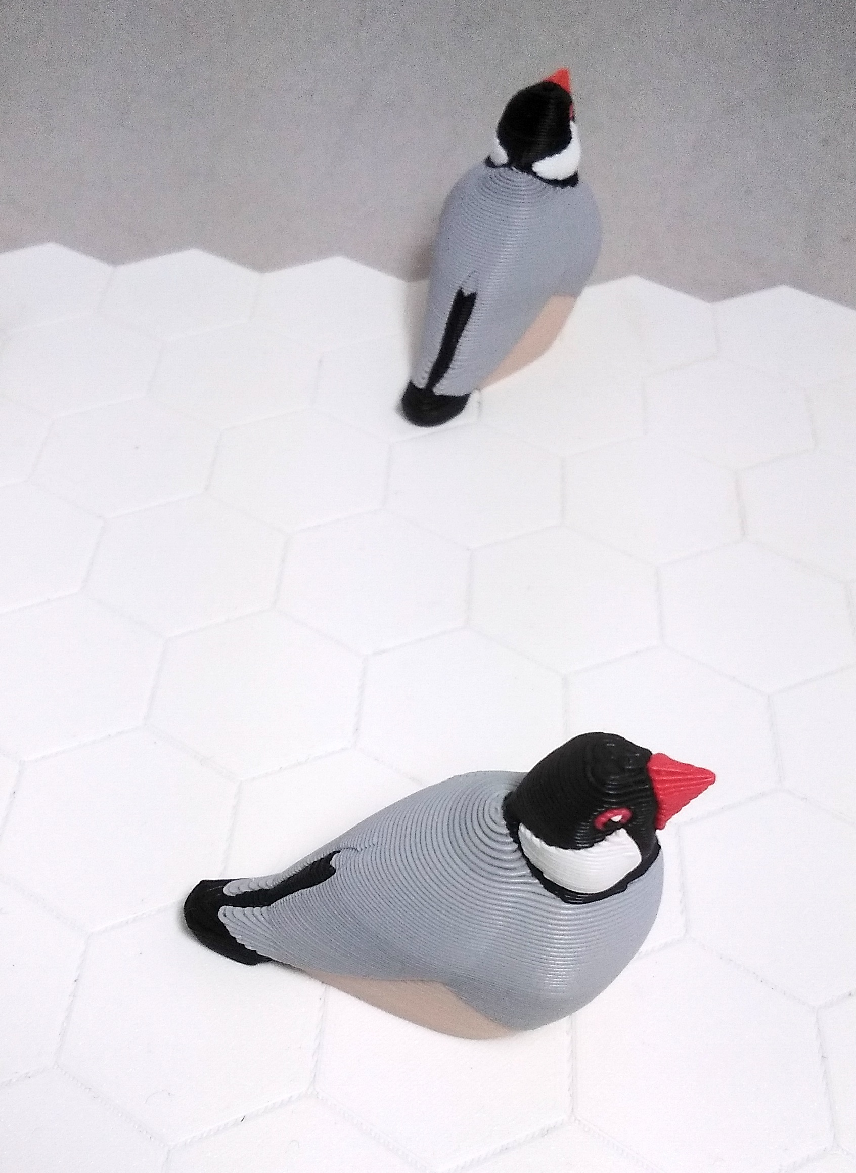 Java Sparrow by Lali3d | Download free STL model | Printables.com
