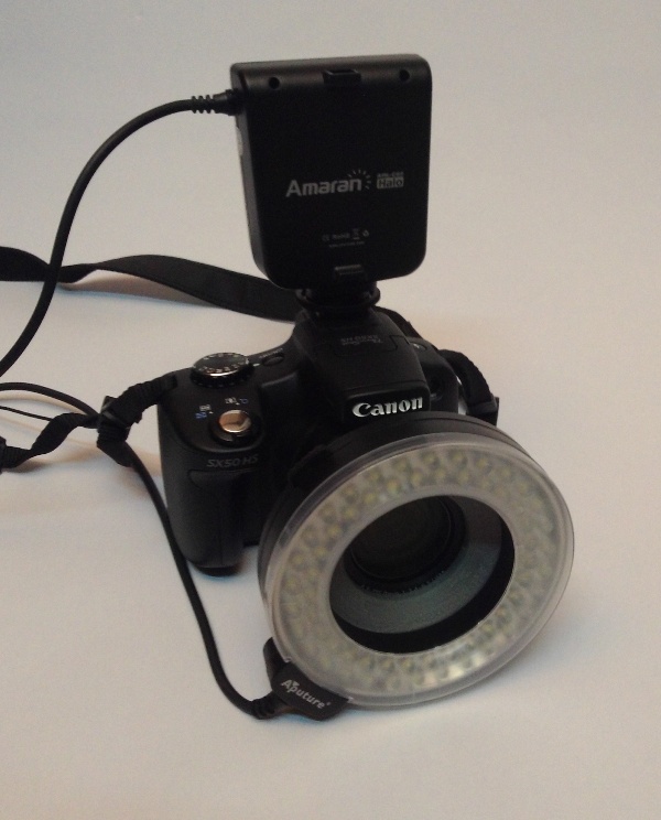 Canon MacroFlash-Ring Adapter by LCruz3D | Download free STL model ...