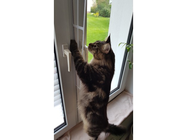 Hopper Windows Protection for Cats by SnowHead | Download free STL ...