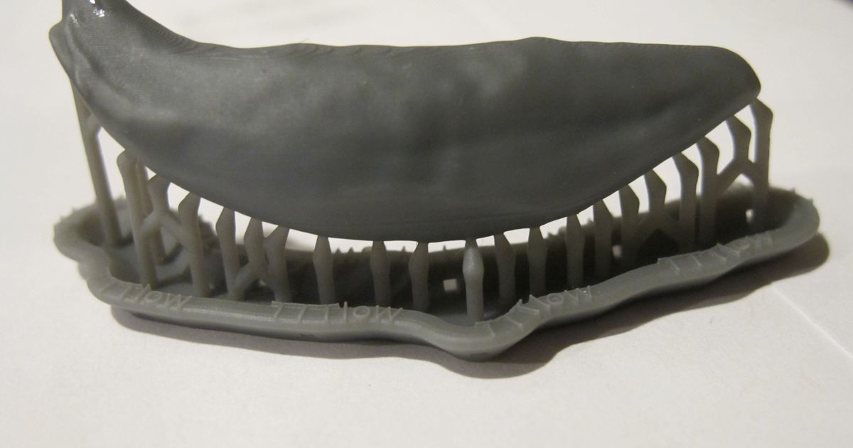 wolf tooth (scanned and printed) by PhD3DP | Download free STL model ...