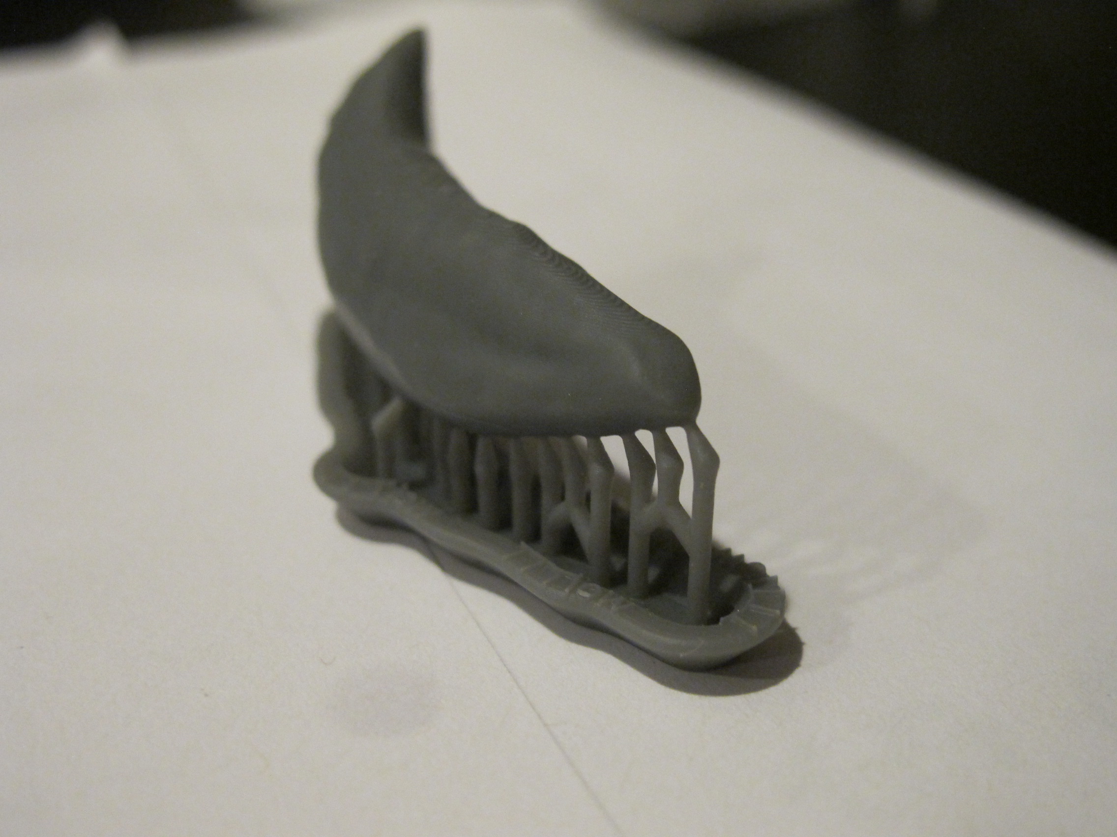 wolf tooth (scanned and printed) by PhD3DP | Download free STL model ...