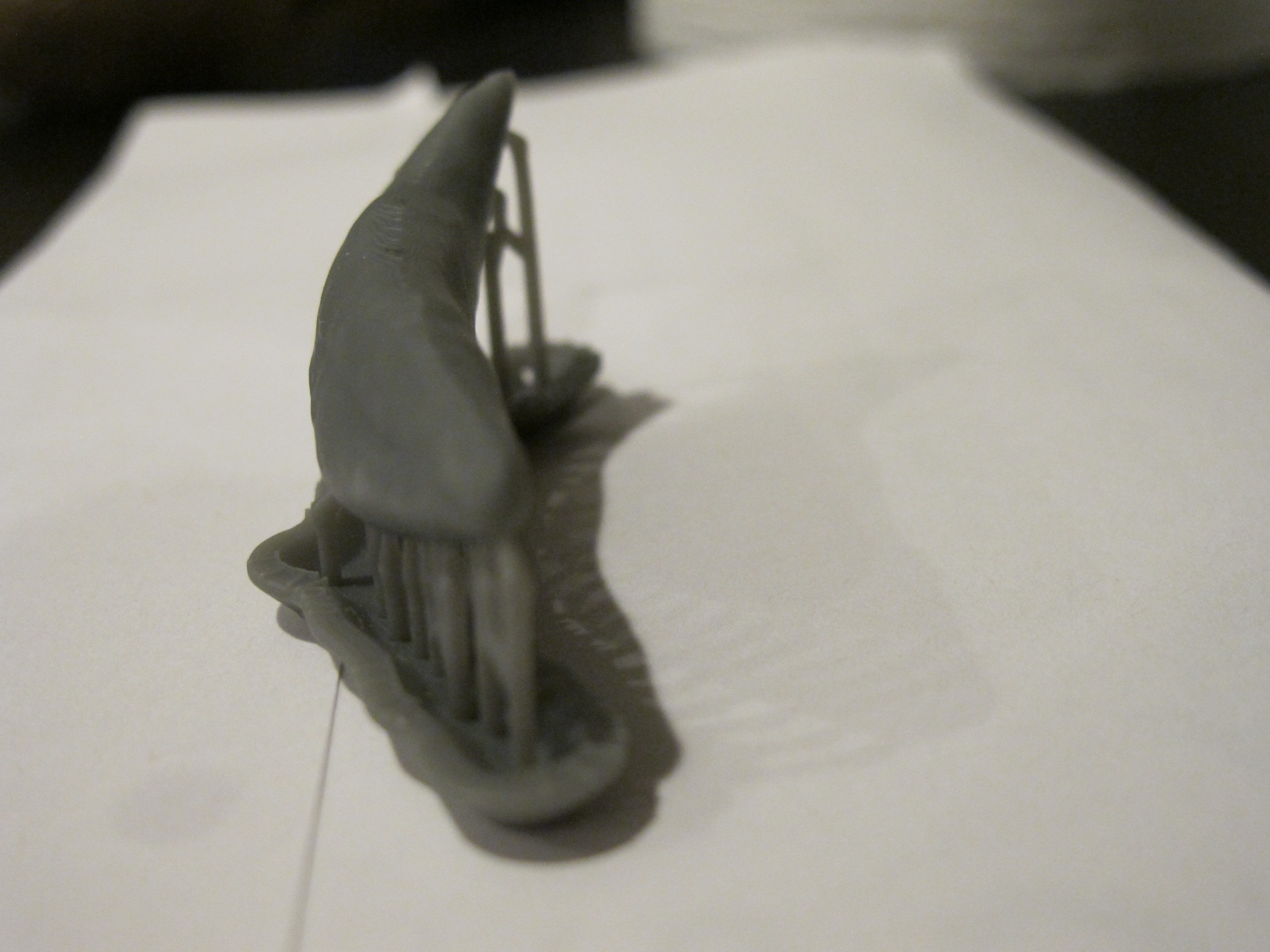 wolf tooth (scanned and printed) by PhD3DP | Download free STL model ...