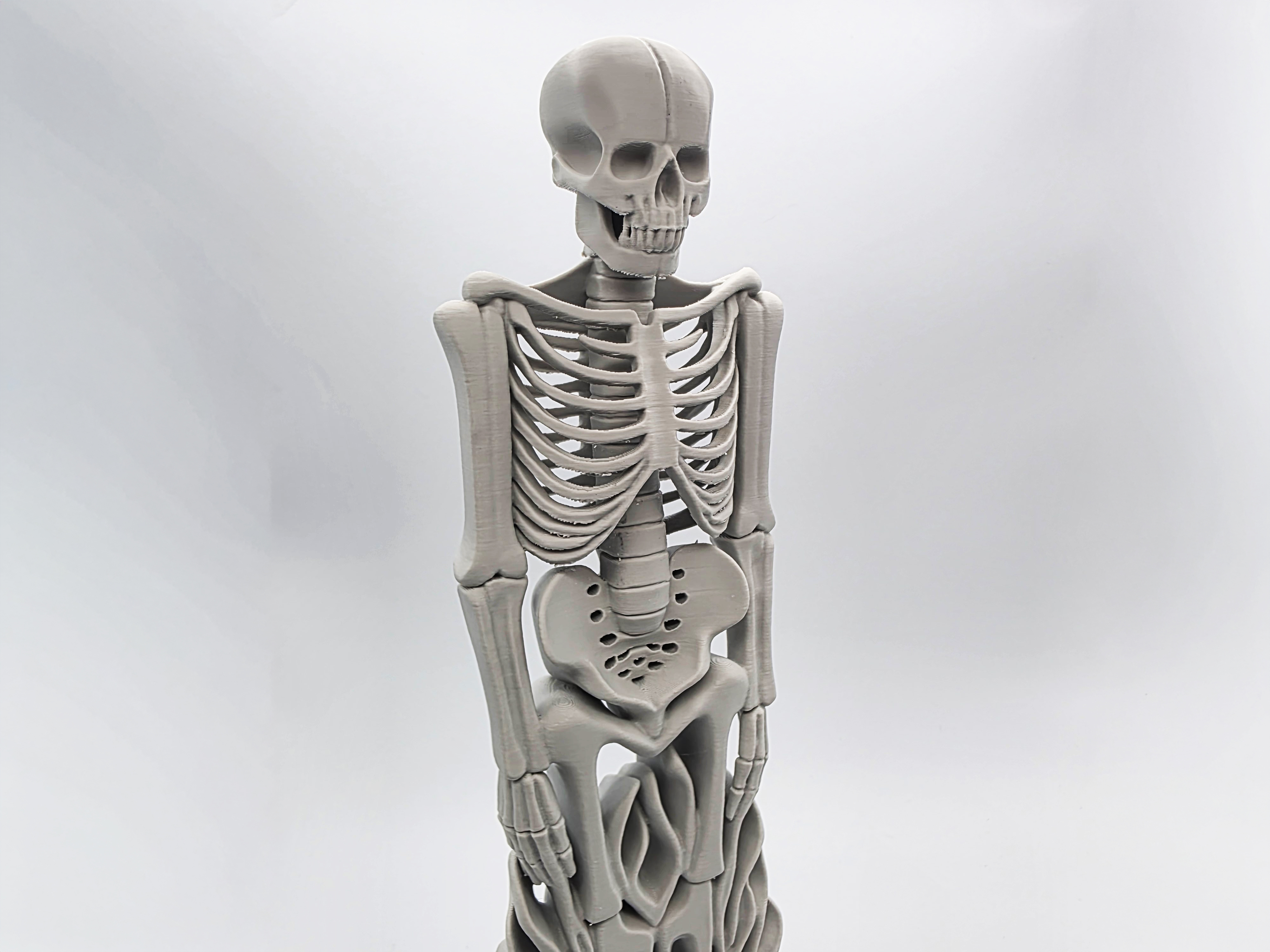 Gothic Skeleton Statue by Triple G Workshop | Download free STL model ...