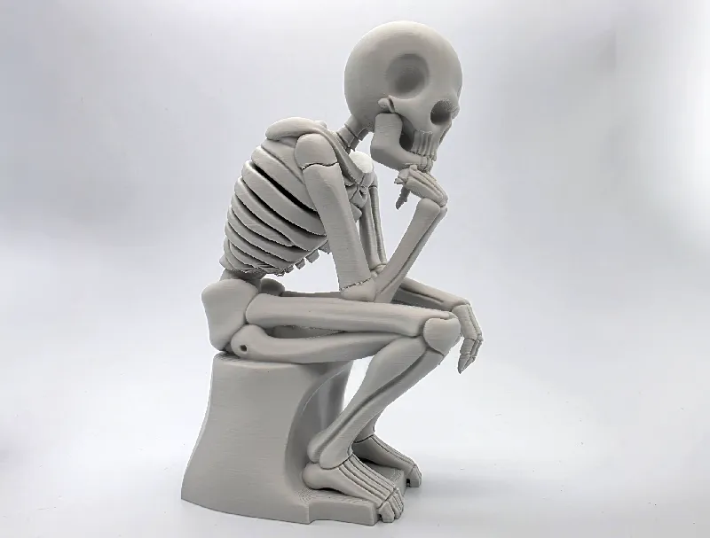 The Skeleton Thinker by Triple G Workshop | Download free STL model ...