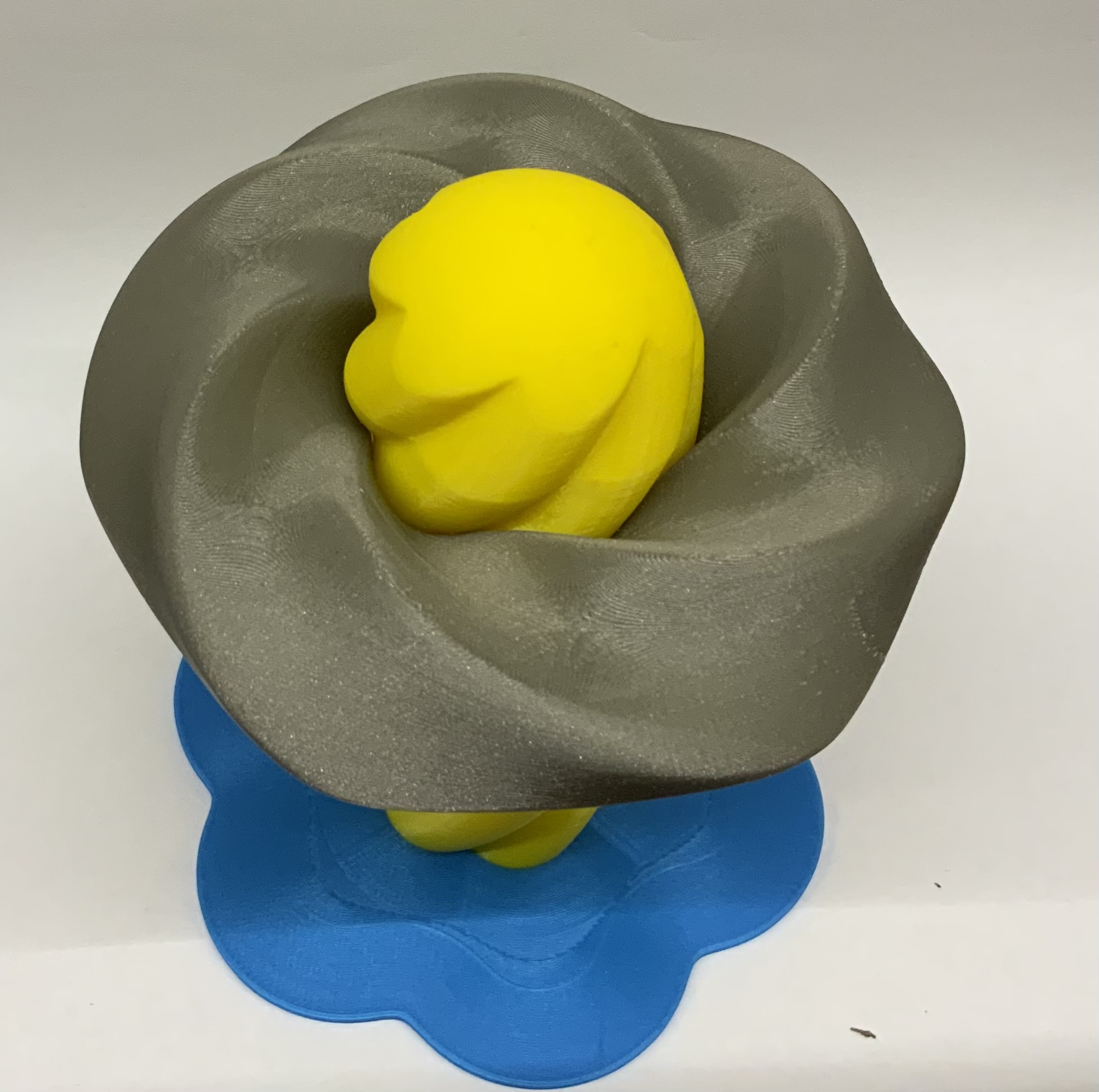 Mobius Toroid by TomM | Download free STL model | Printables.com
