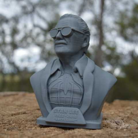 Stan Lee Memorial Print by Hex3D | Download free STL model | Printables.com