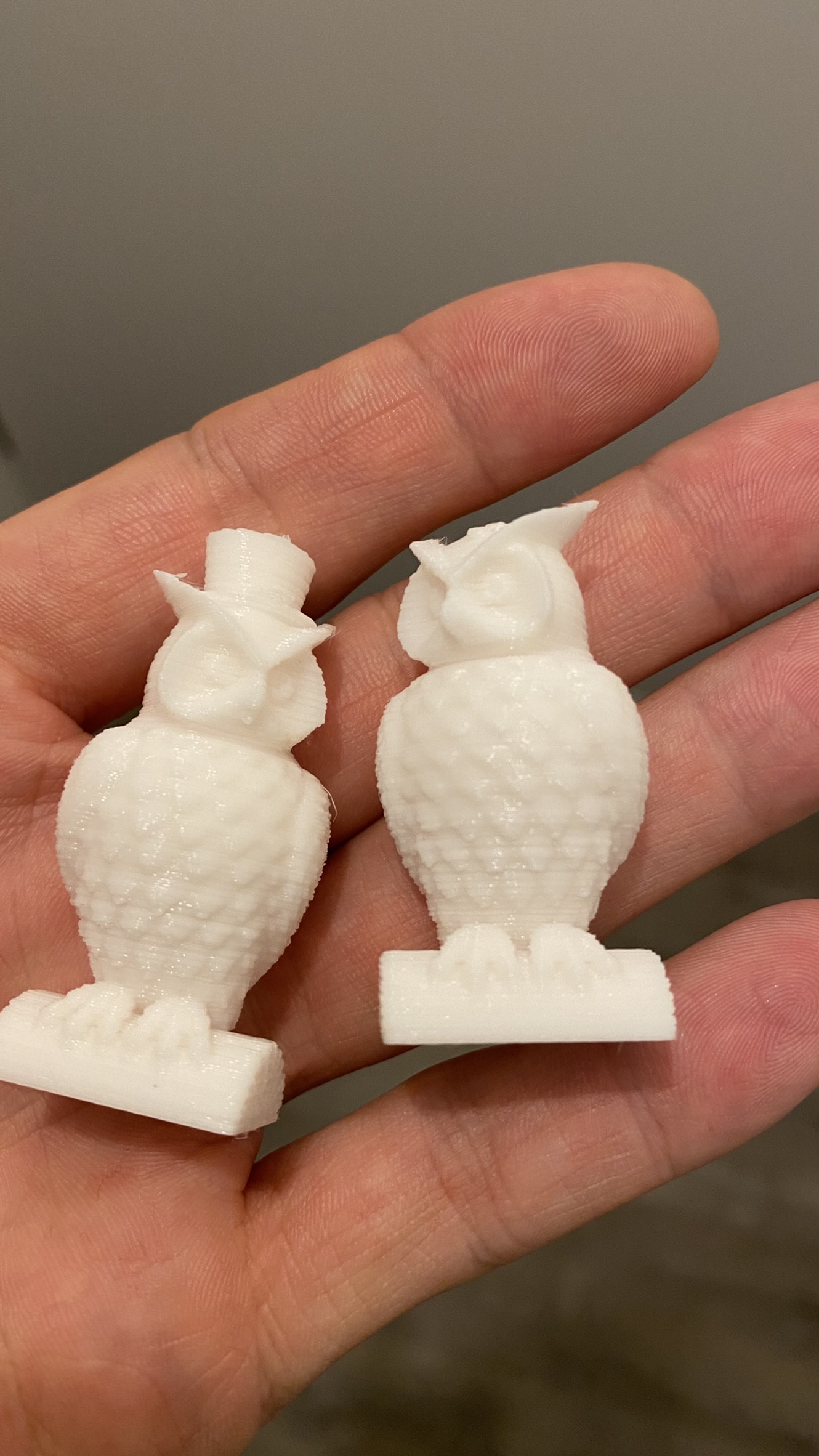 Pair of Owls Anycubic i3 mega S by FoxMckraut | Download free STL model ...