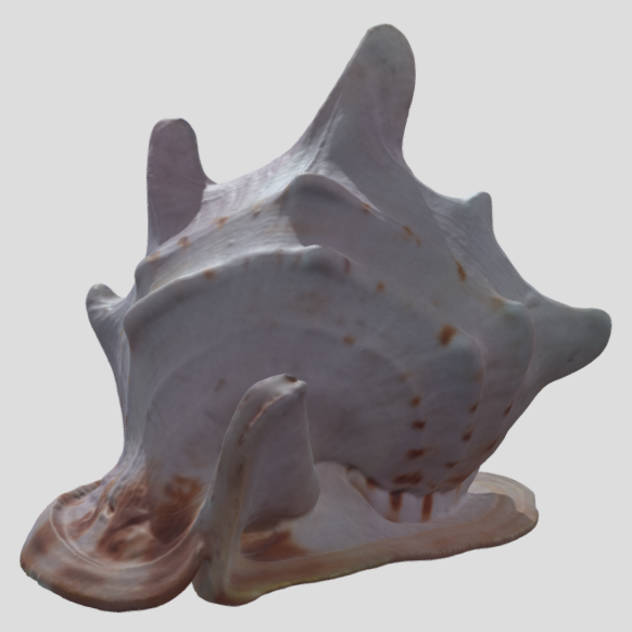 Big pretty shellfish（generated by Revopoint POP 2） by PLAprinter ...