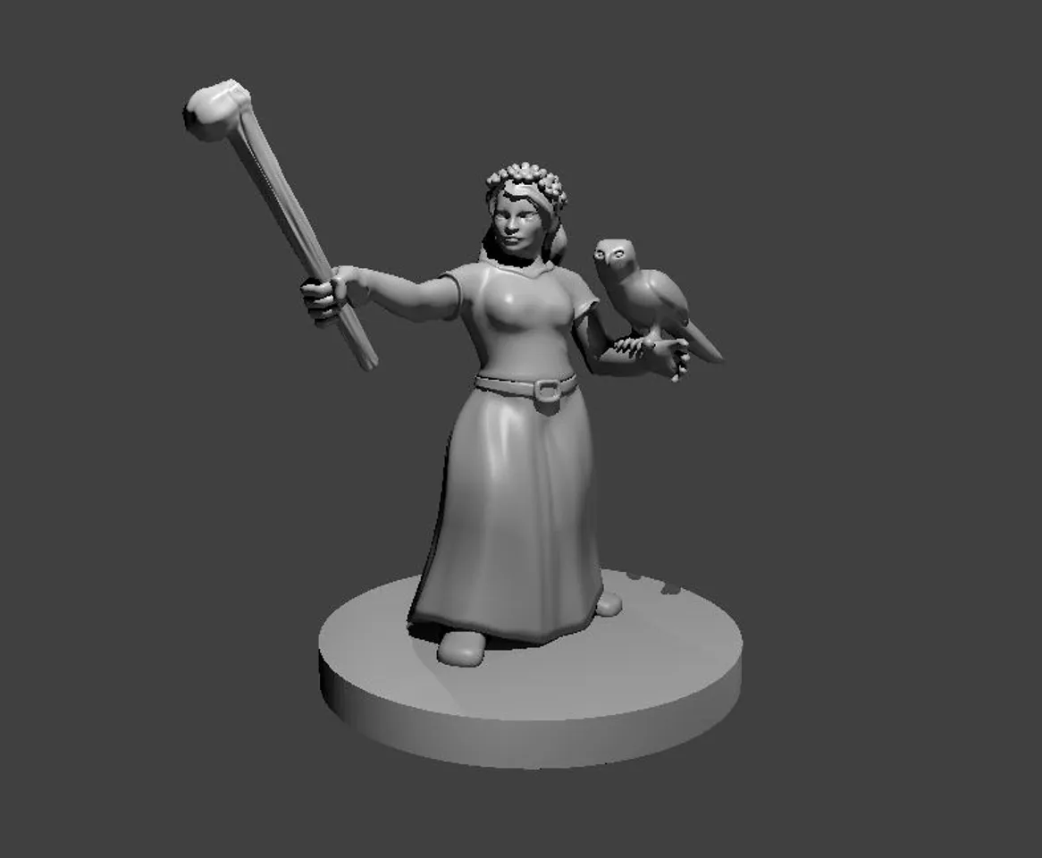 Druid Collection by MZ4250 | Download free STL model | Printables.com