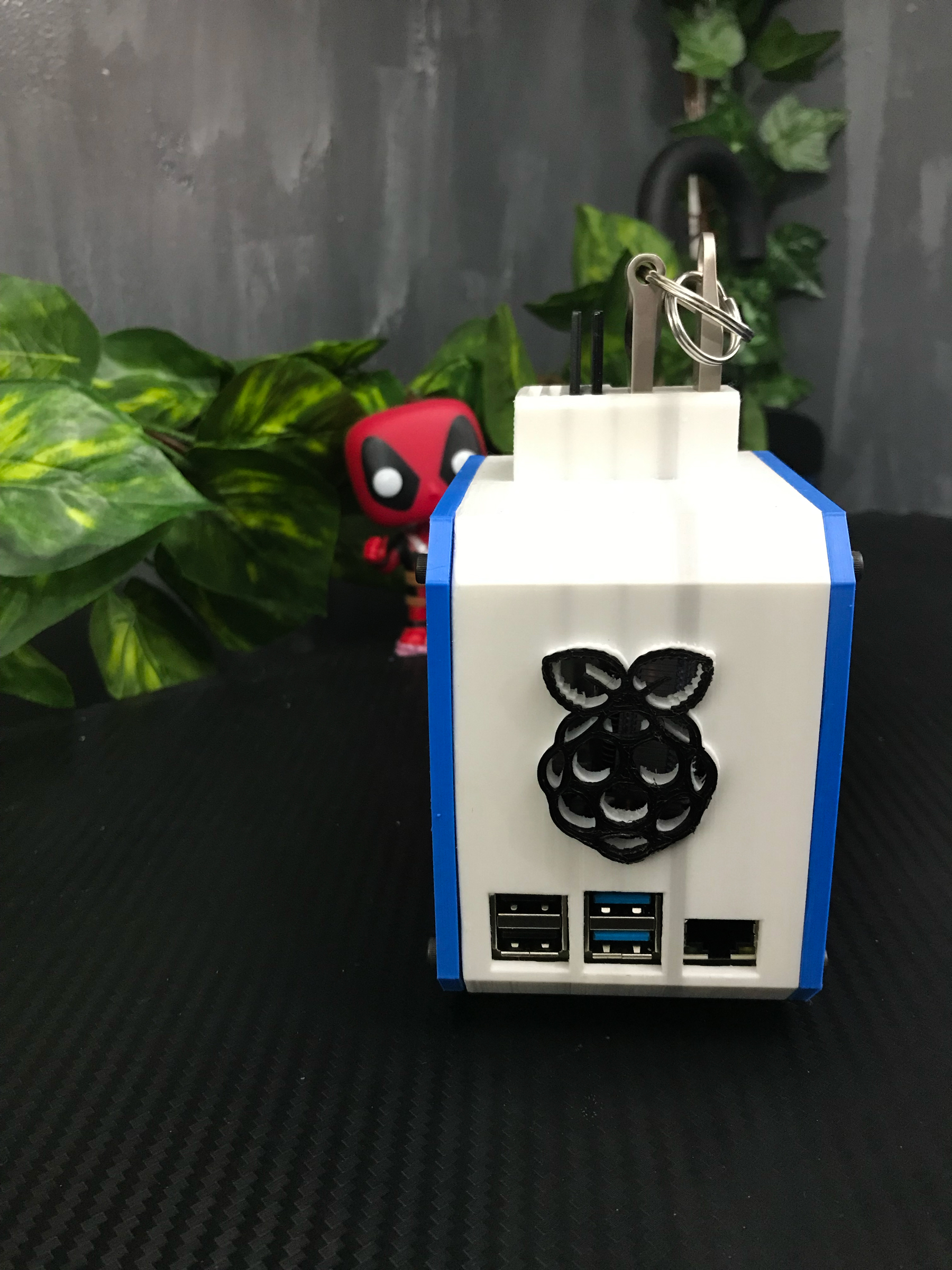 Raspberry Pi Logo by Three Nippled Goldfish | Download free STL model ...