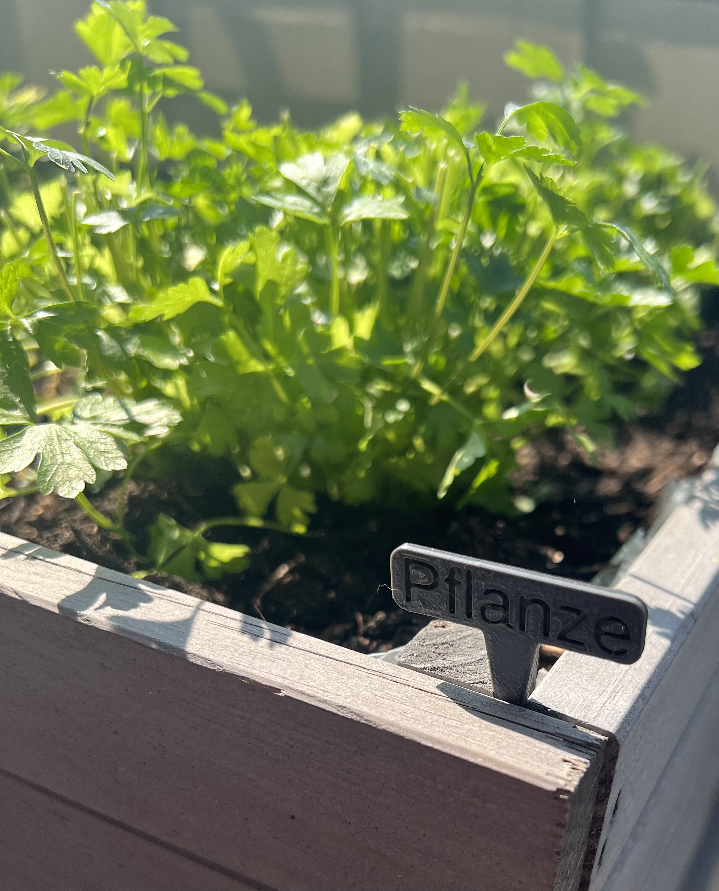 Customizable easy (plant) signs by mj | Download free STL model ...